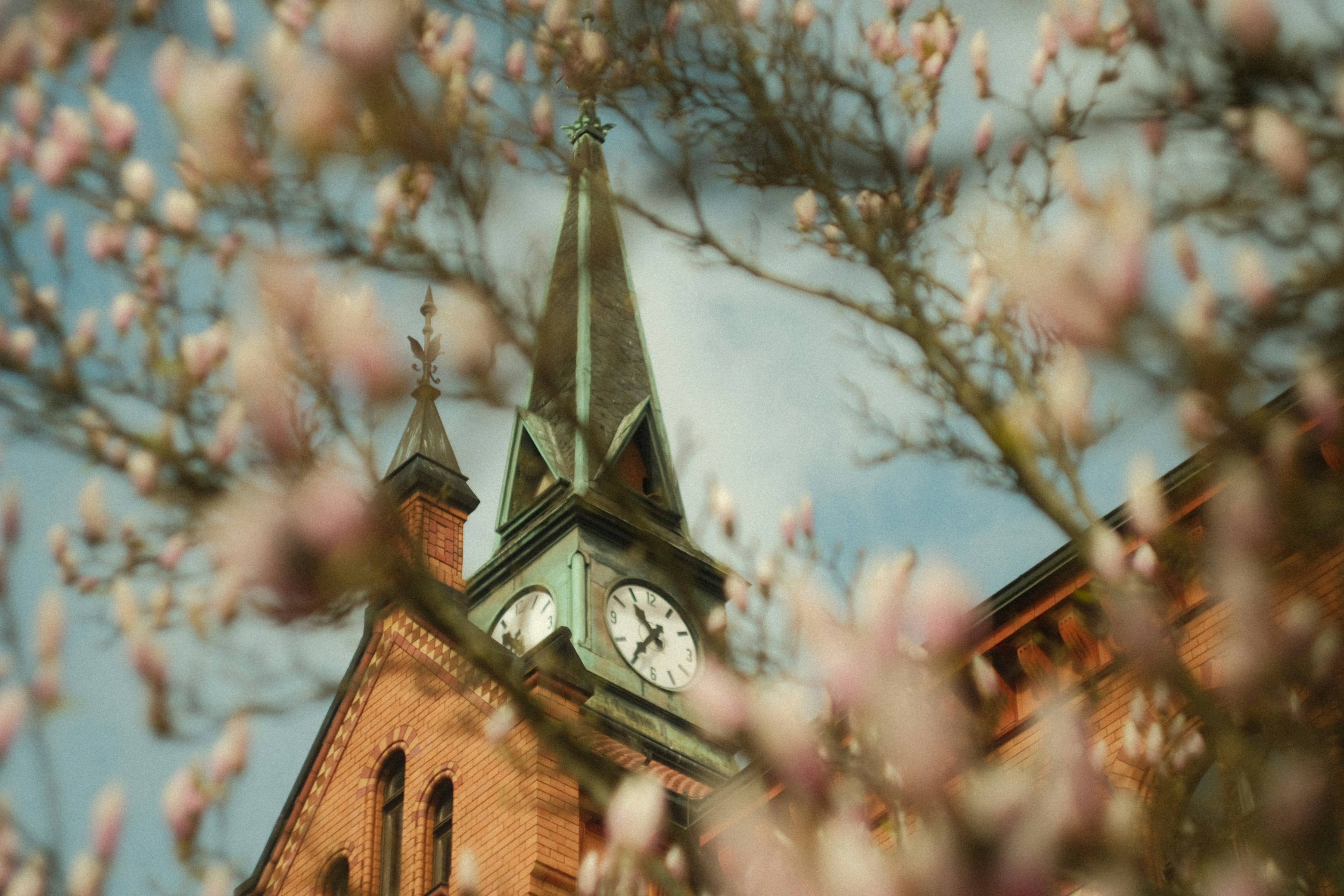 Photo by Konrad Hofmann with Fujifilm X-T30 II