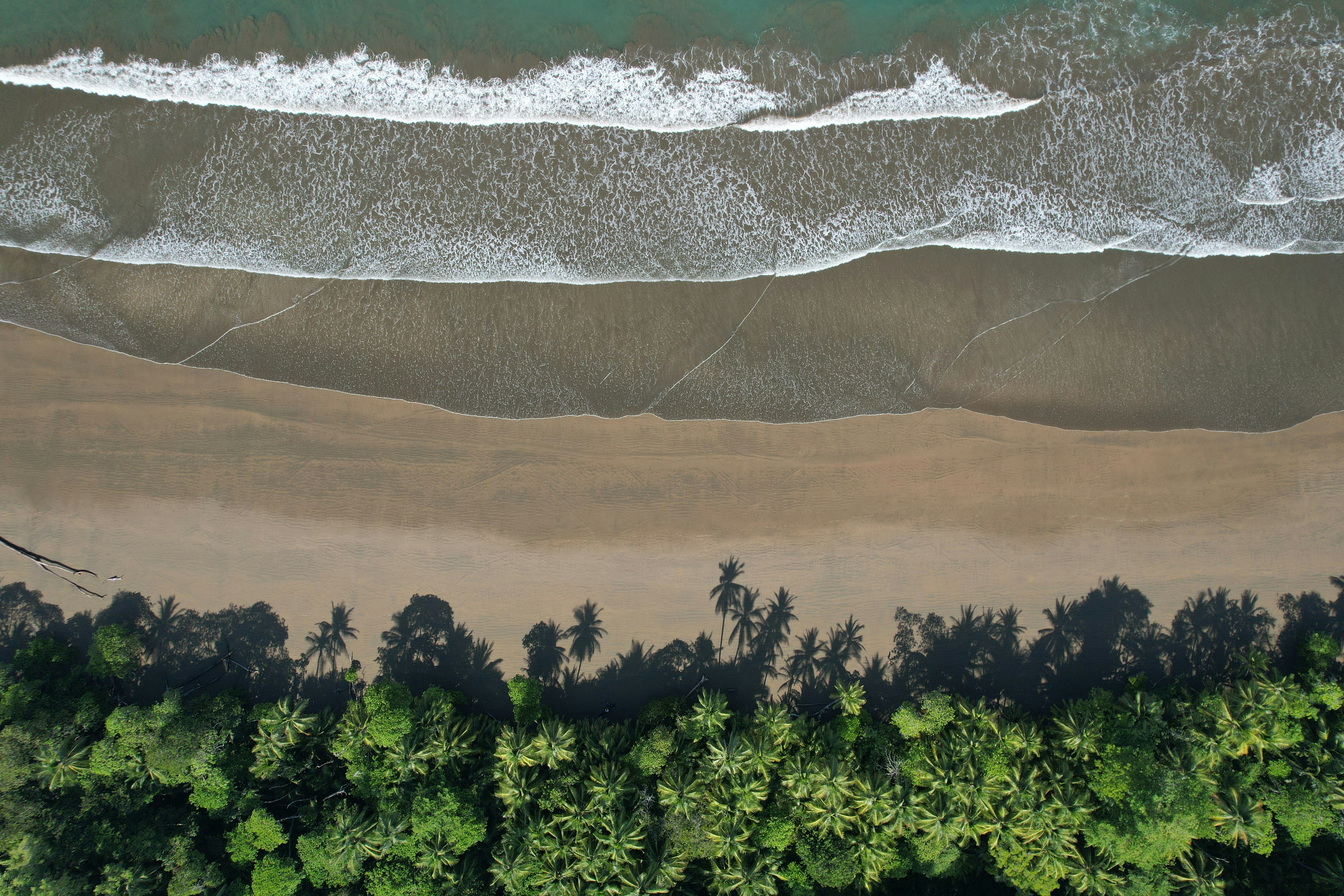 An aerial perspective captures the delicate interplay between the tropical shoreline and the azure ocean. The neat lines of breaking waves form natural patterns, complementing the dense palm groves that signify an untouched paradise.