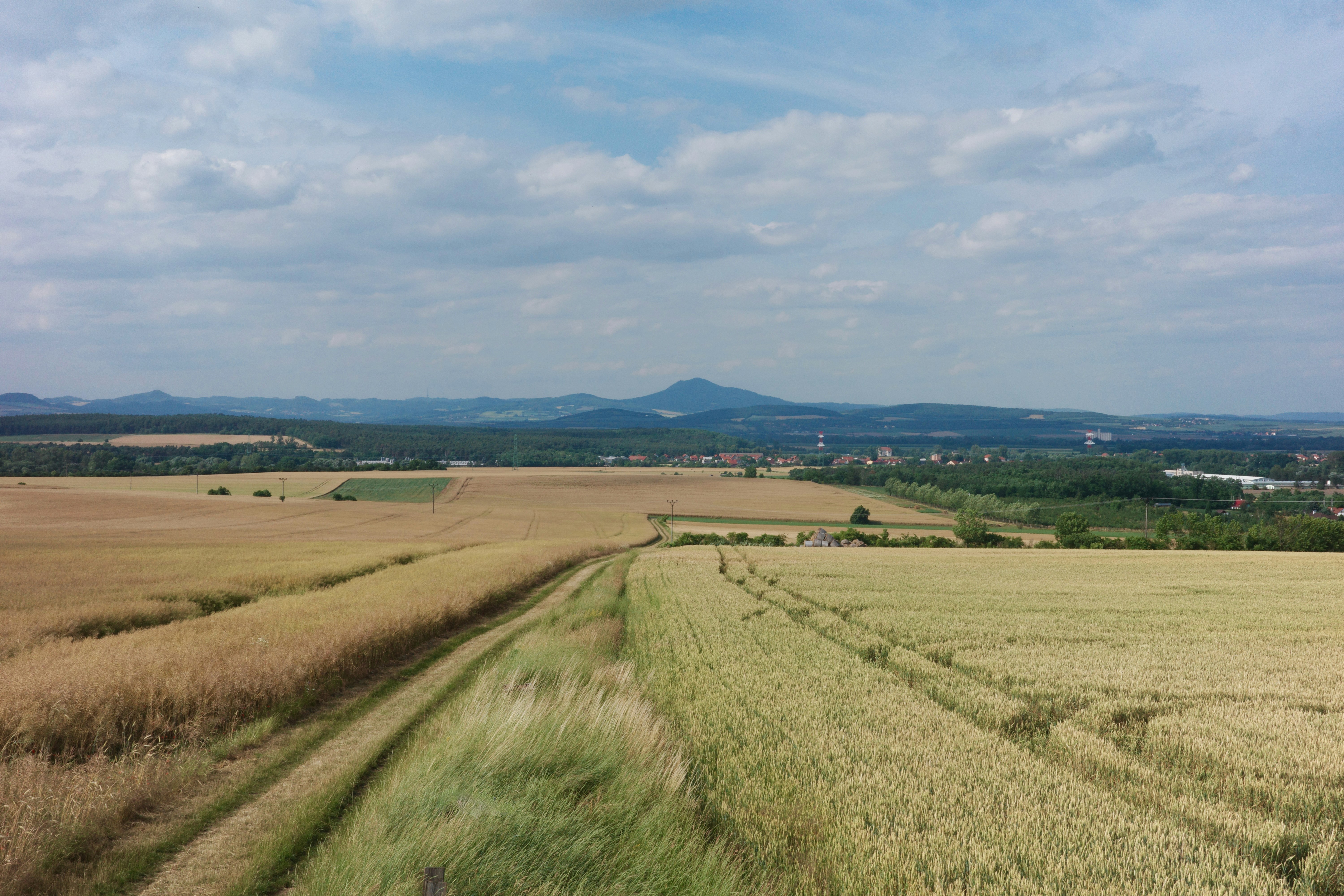 Ridge and Rows: Harvested Fields Reaching a Quiet Horizon
