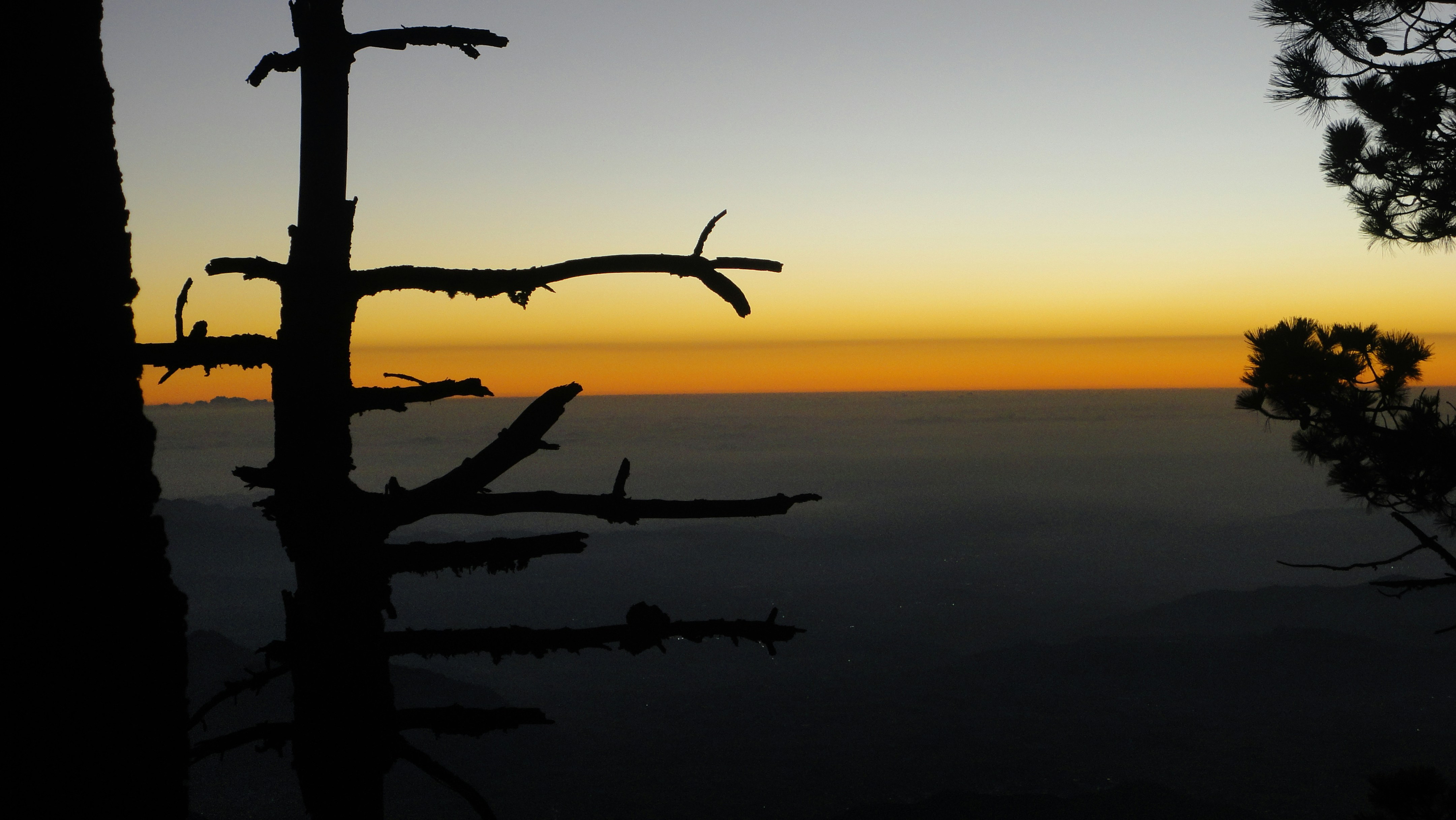 Silhouetted trees against a vivid orange and blue sunset horizon.
