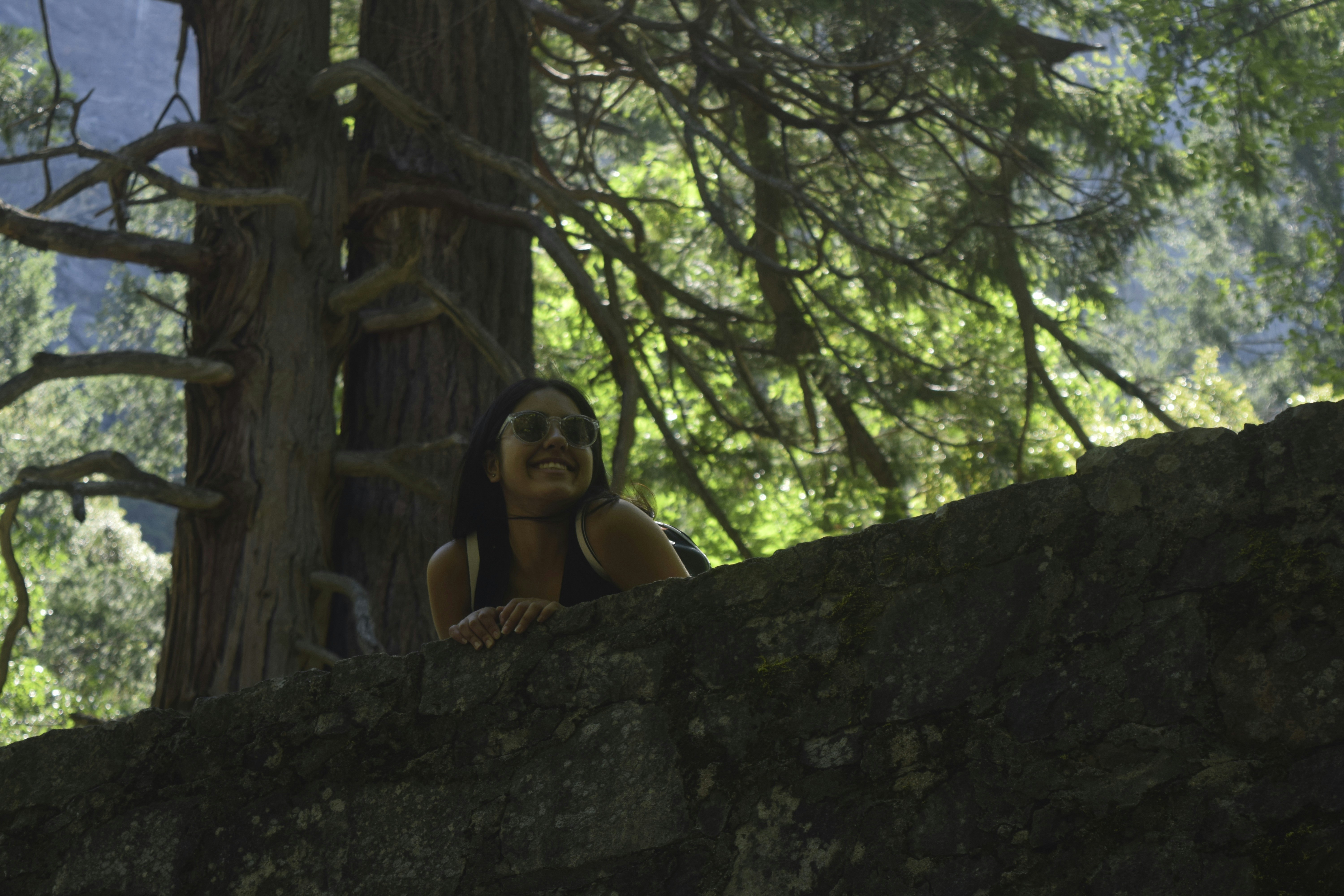 Gaze Over the Mossy Wall: Forest Light and a Quiet Moment