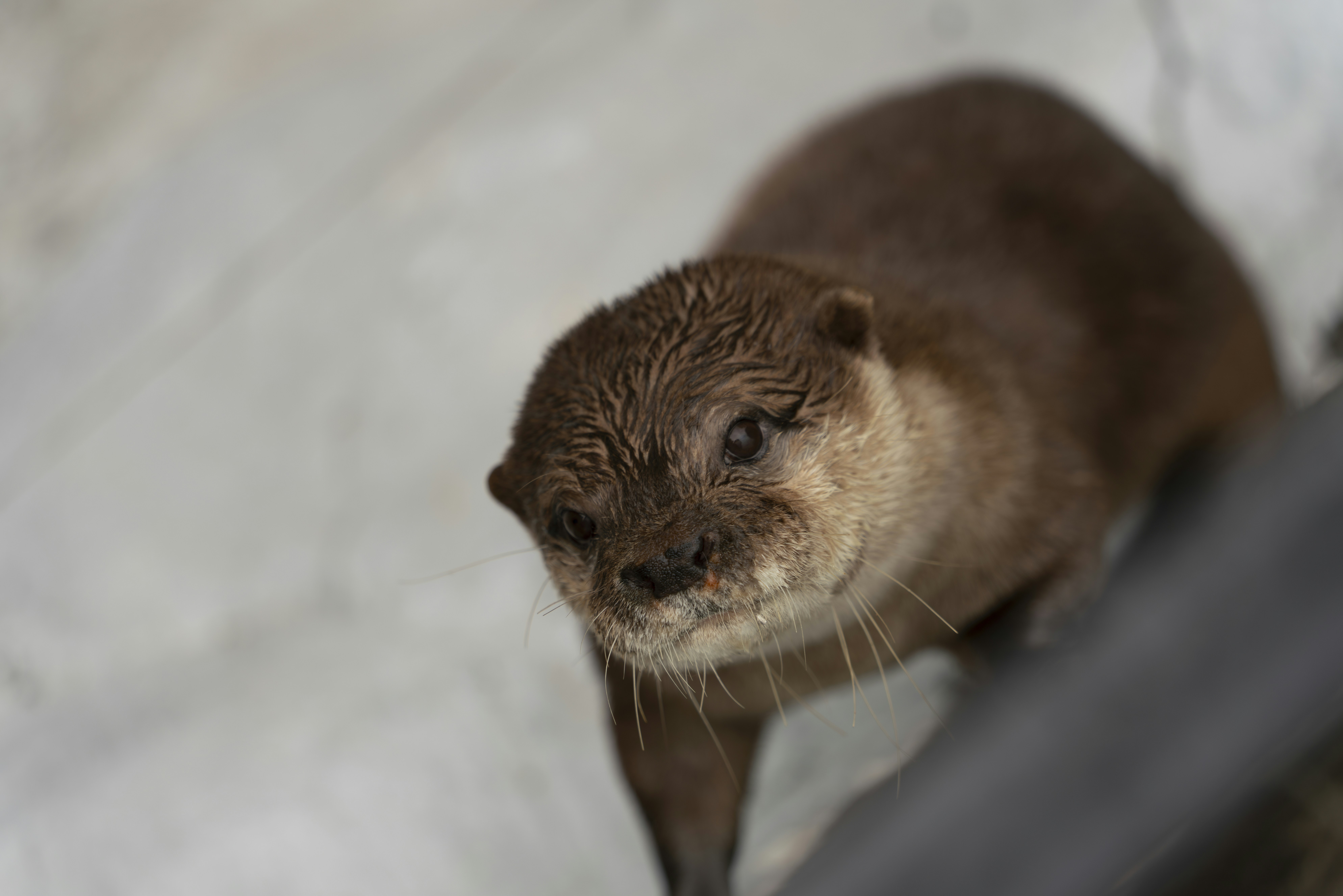 Shut Up Pictures | Download Free Images on Unsplash