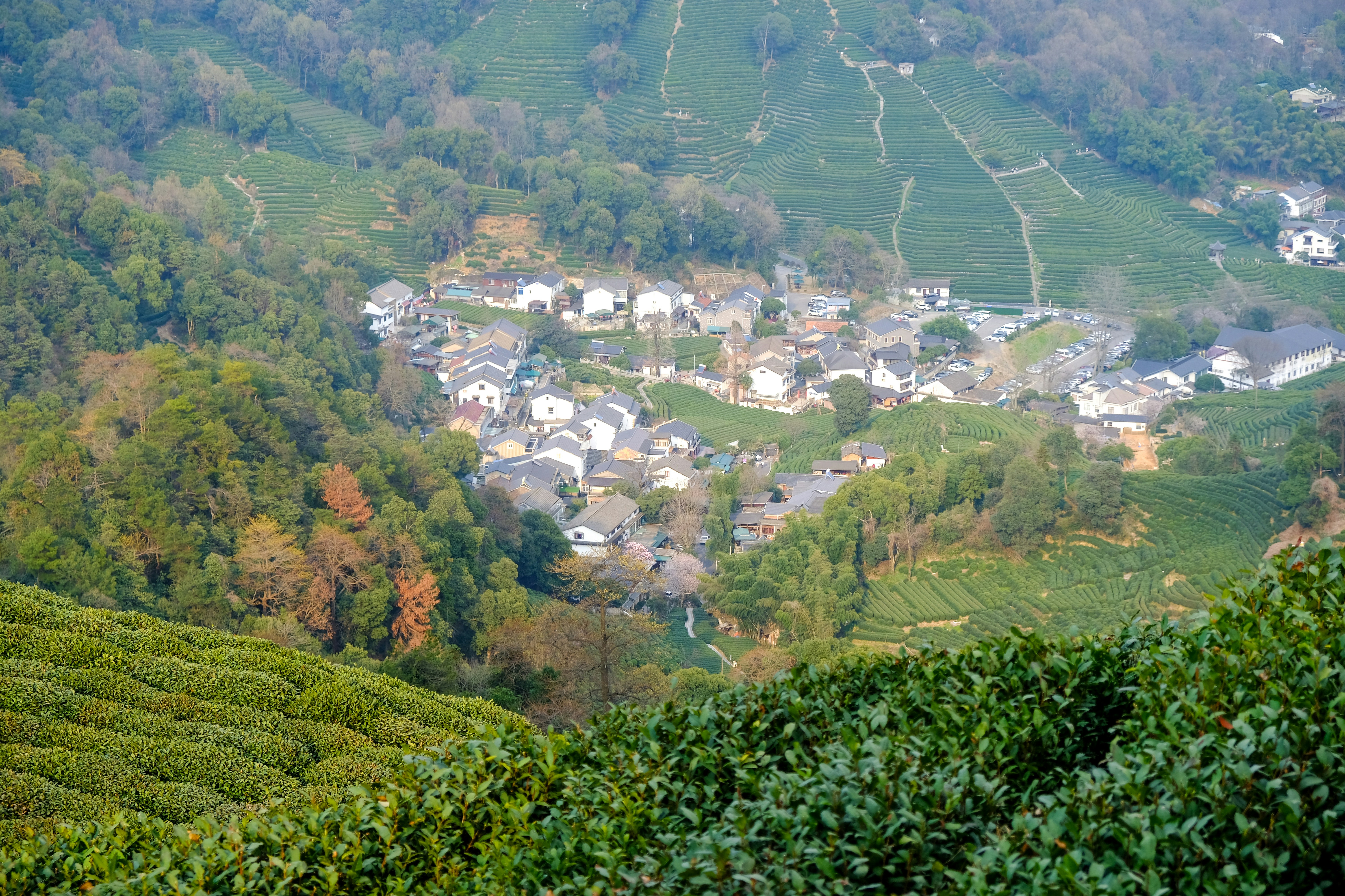 Emerald Staircase: A Village Nestled Among Tea Terraces