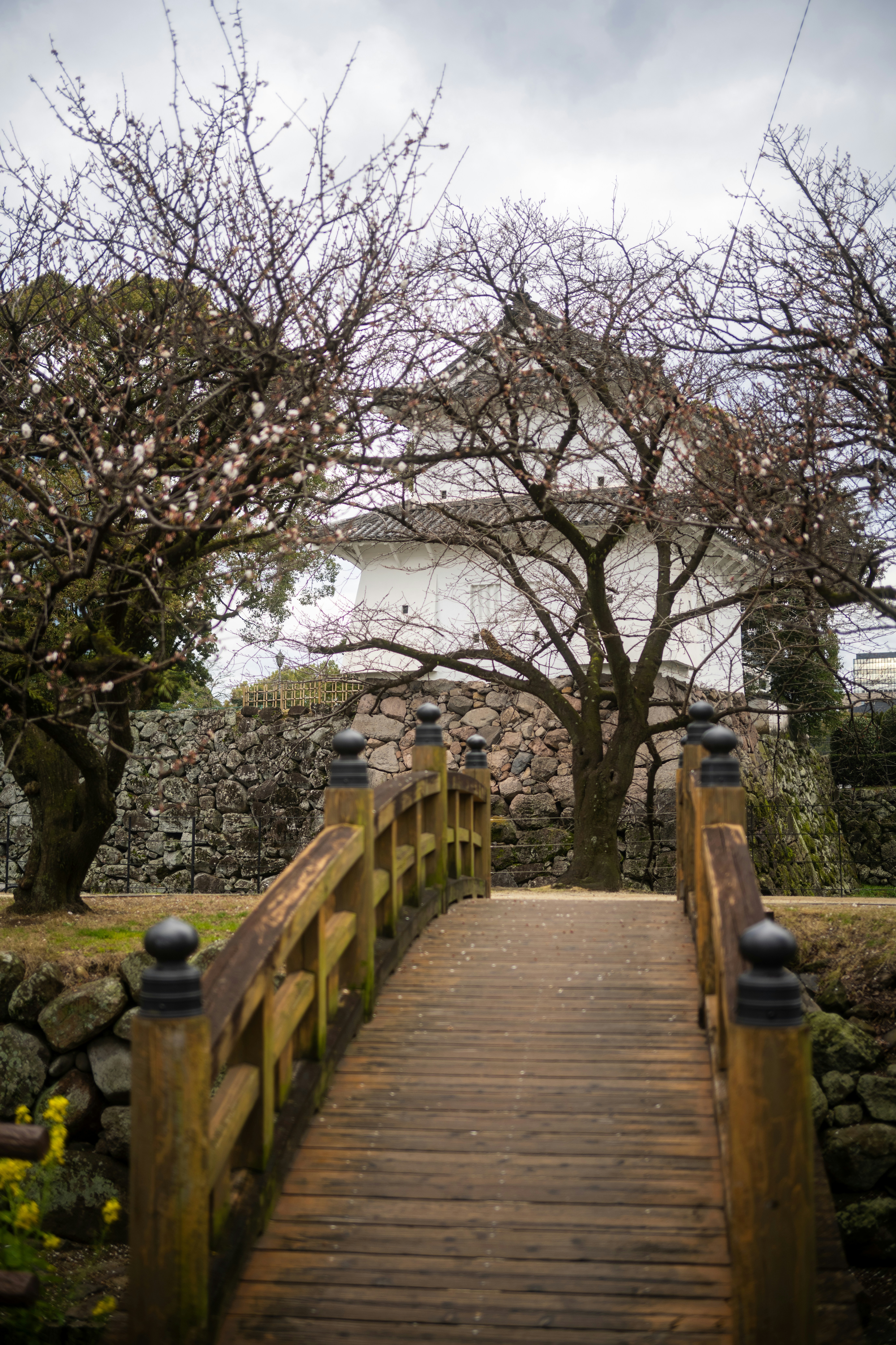 A wooden bridge over a small pond in a park photo – Free Path Image on ...