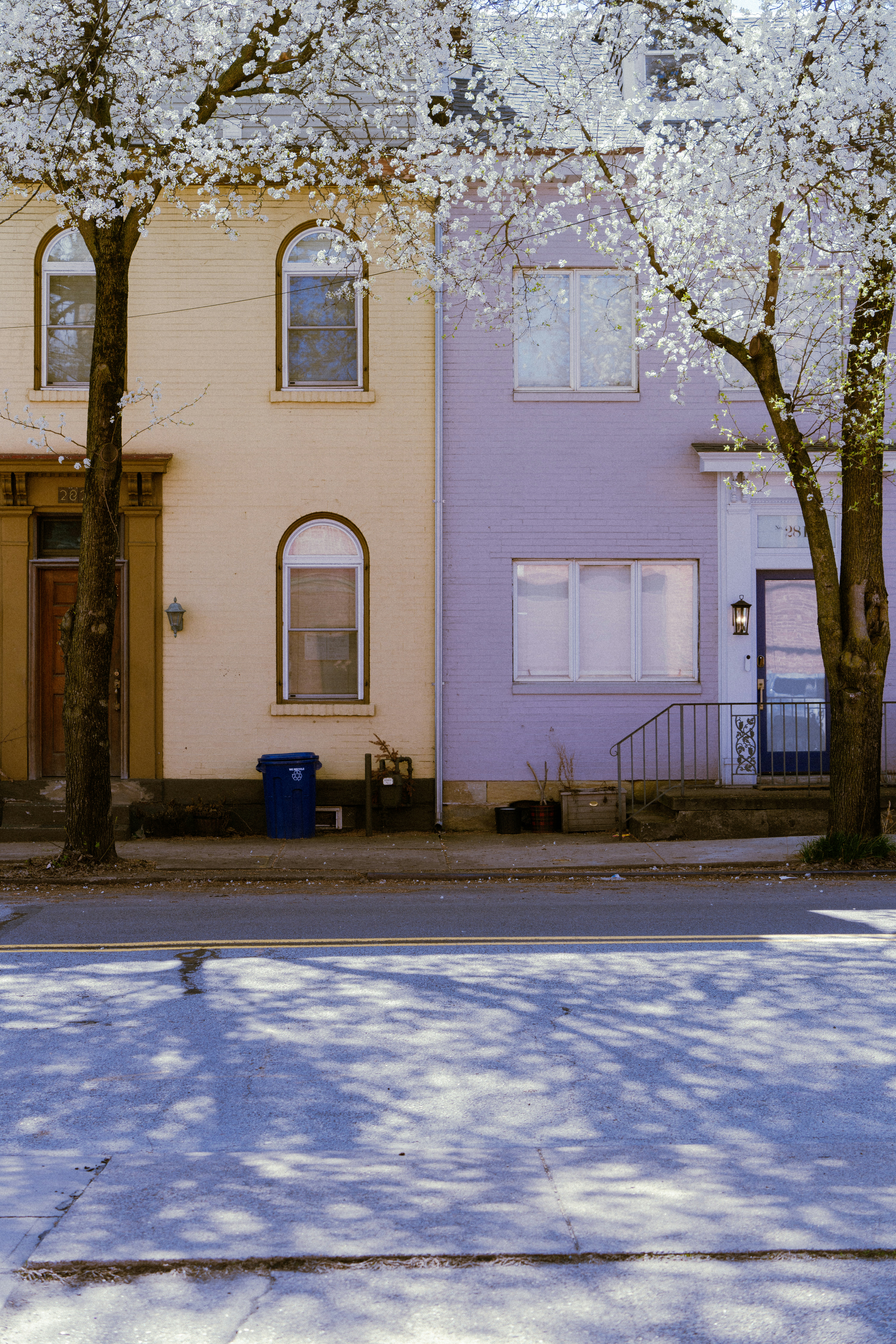 A yellow and pink house with trees in front of it photo – Free ...