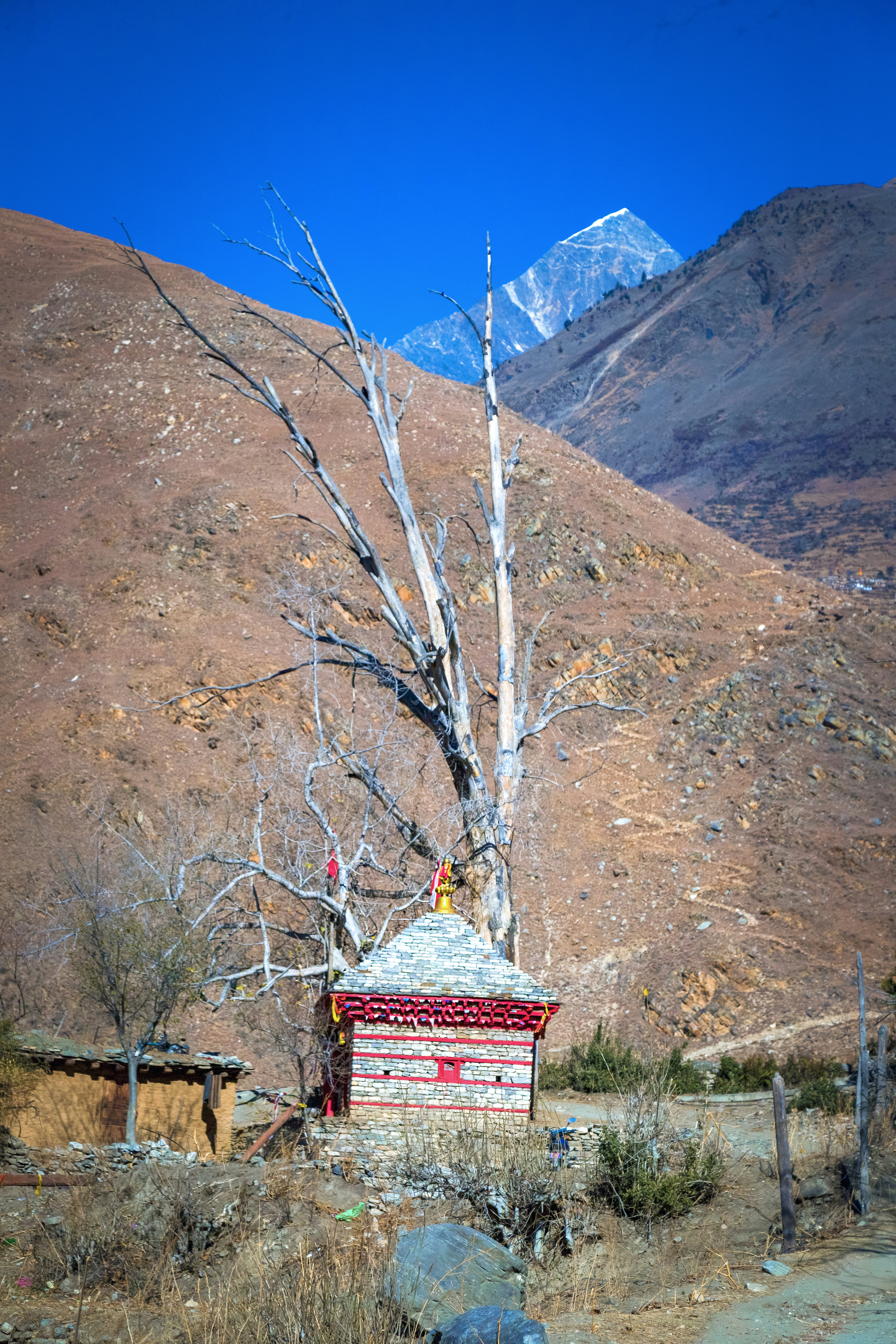 Red-Roofed Shrine Beneath a Skeletal Tree at the Foot of a Snow-Capped Peak