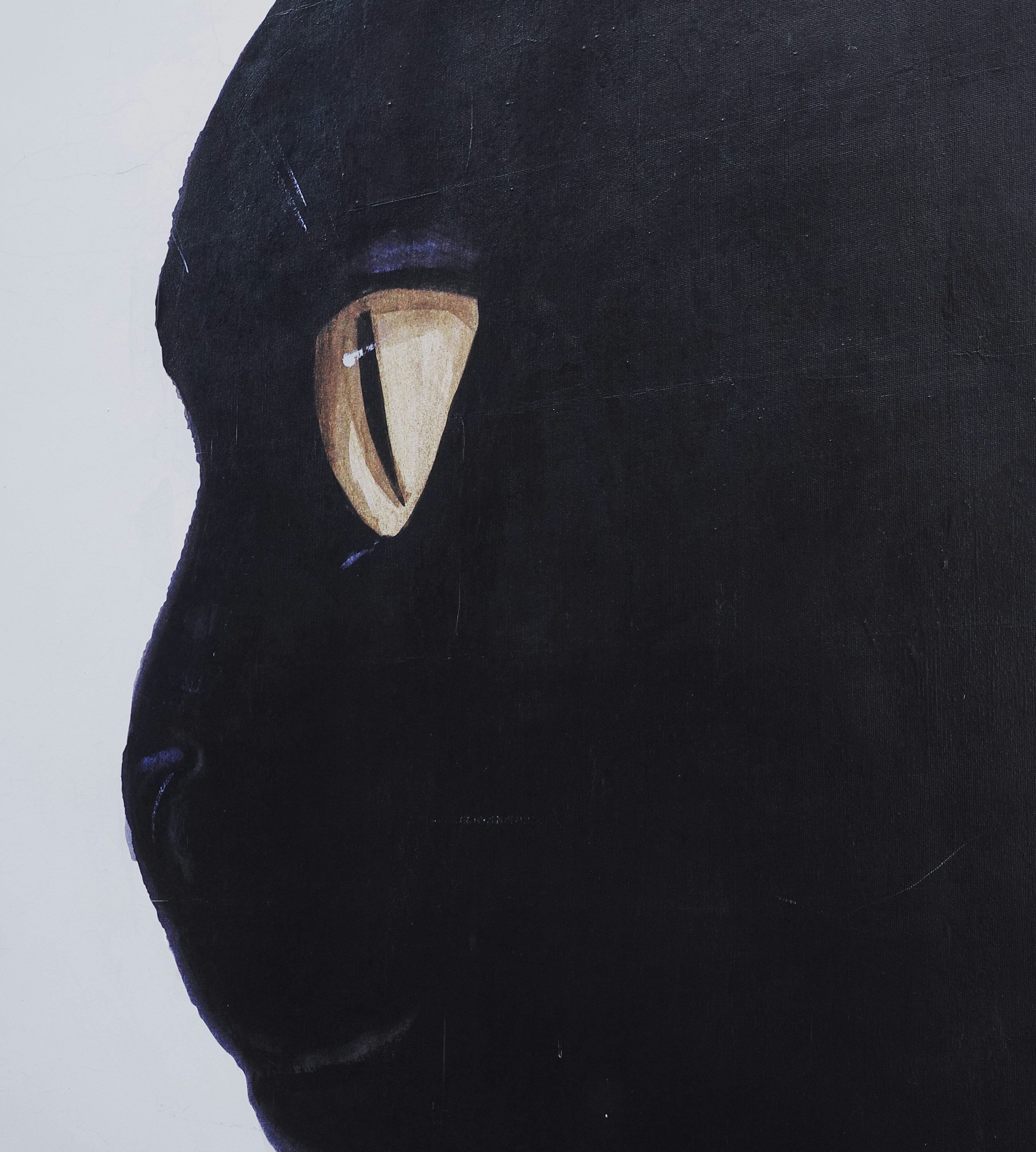a close up of a black cat's face