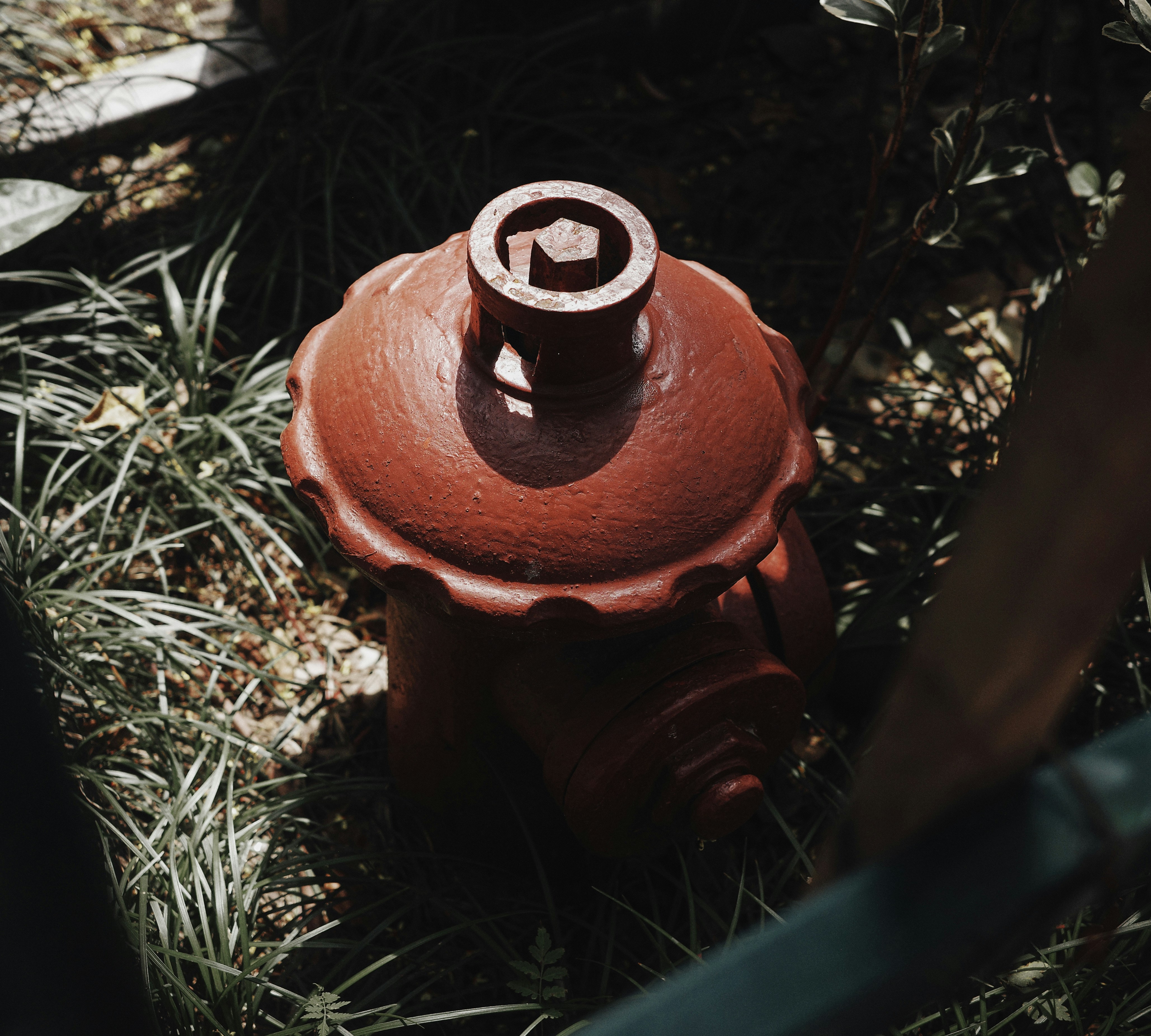 Red Sentinel in the Grass: A Weathered Fire Hydrant Hidden by Dappled Light