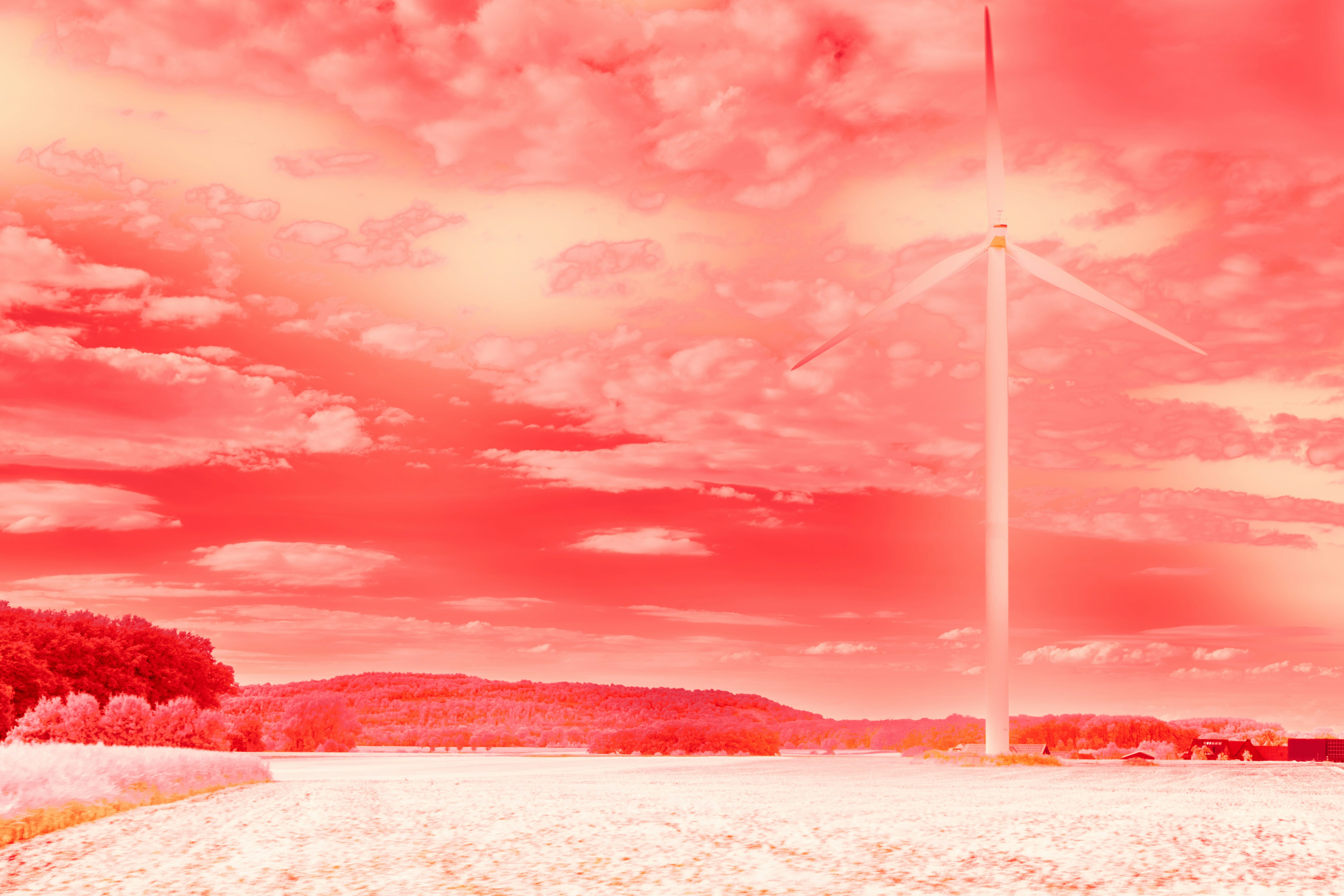 Whispering Turbine Under a Salmon Sky