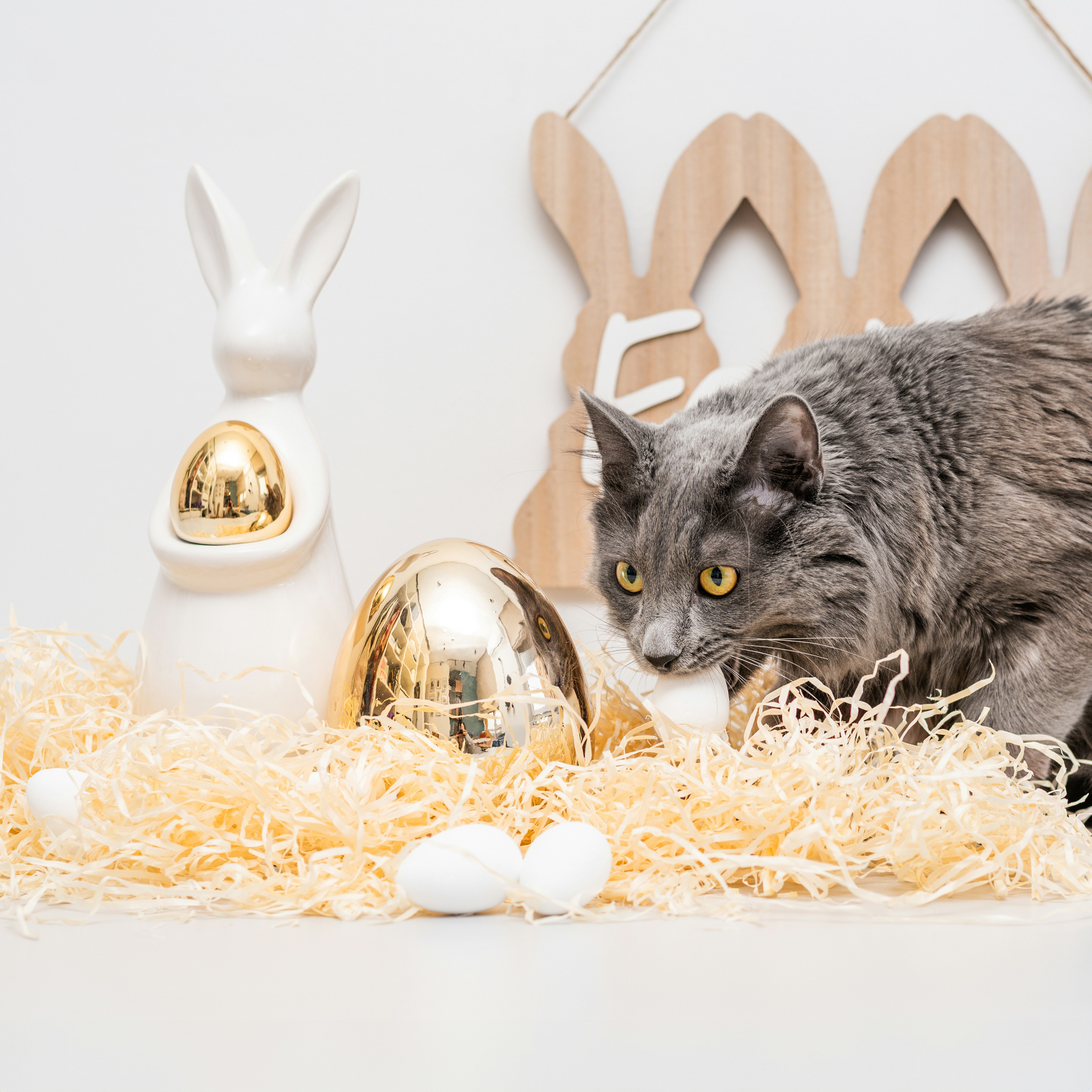 a cat looking at a golden egg on a table