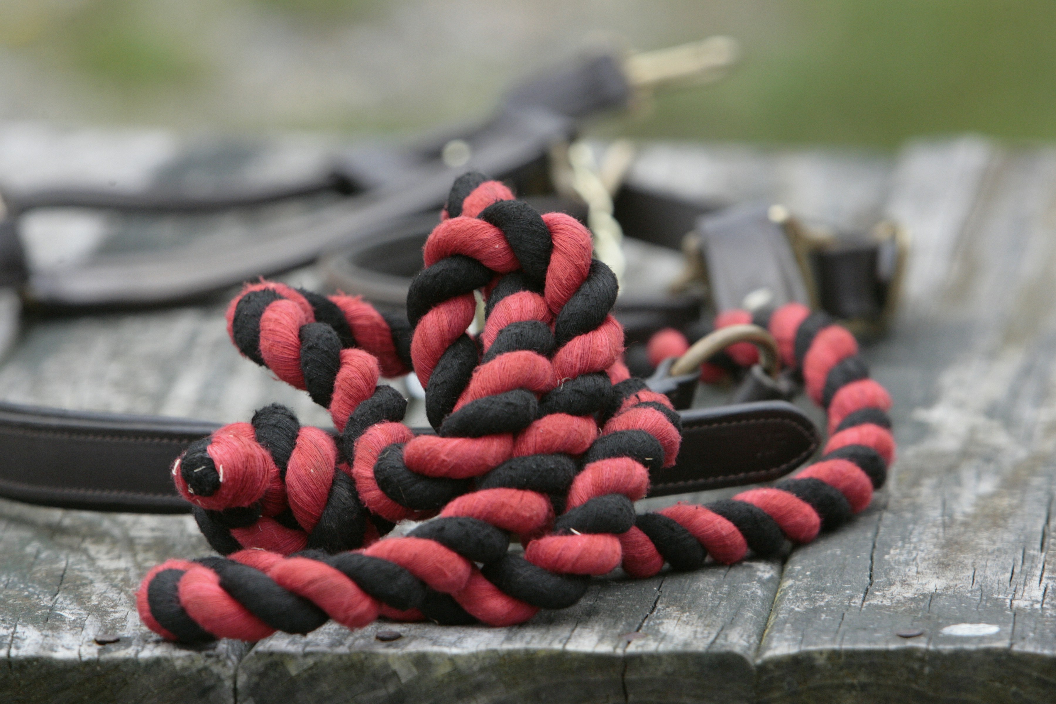 A black and red leash and a black and white leash photo – Free Horse ...