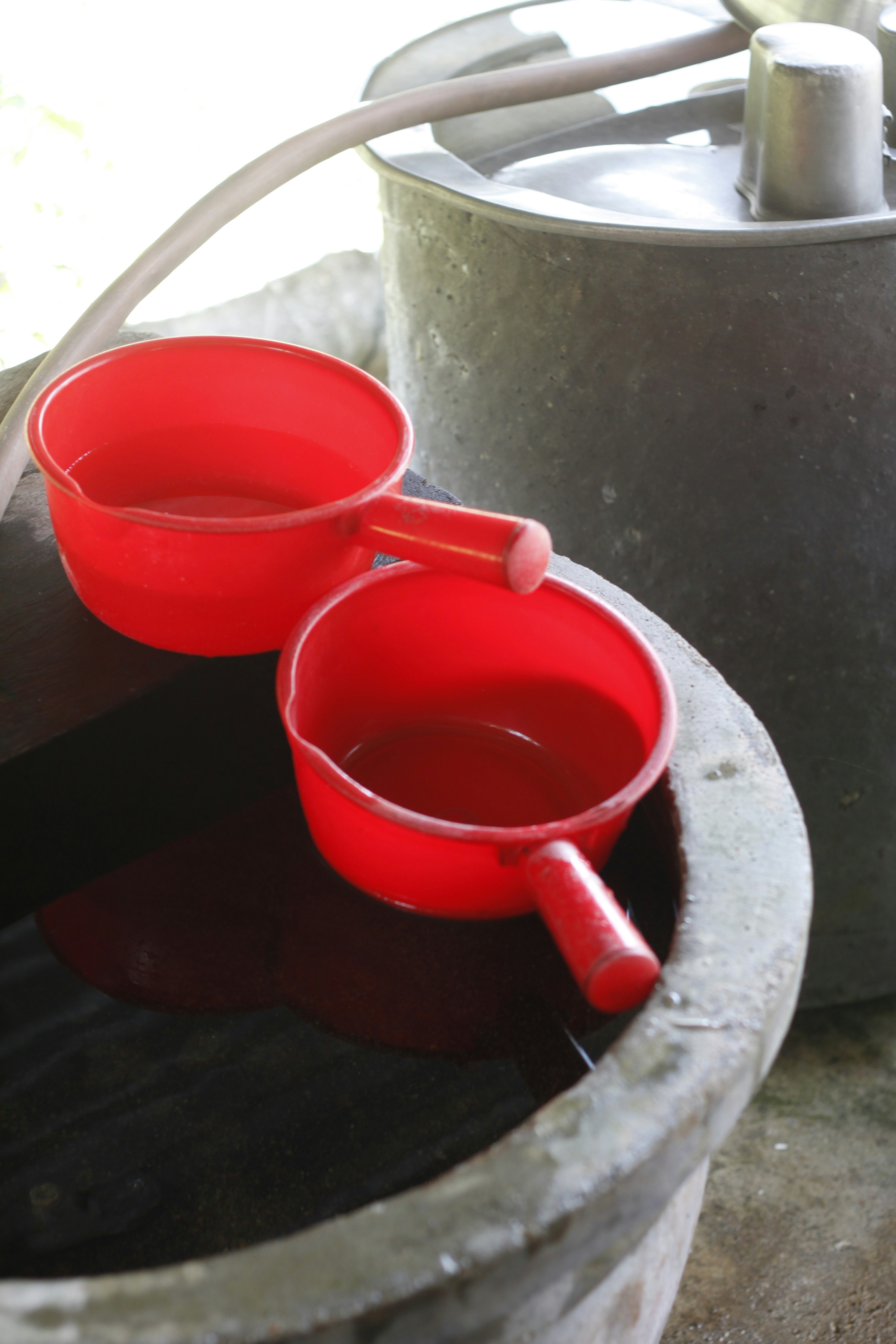 Crimson Cups in a Weathered Boiler: A Quiet Still Life