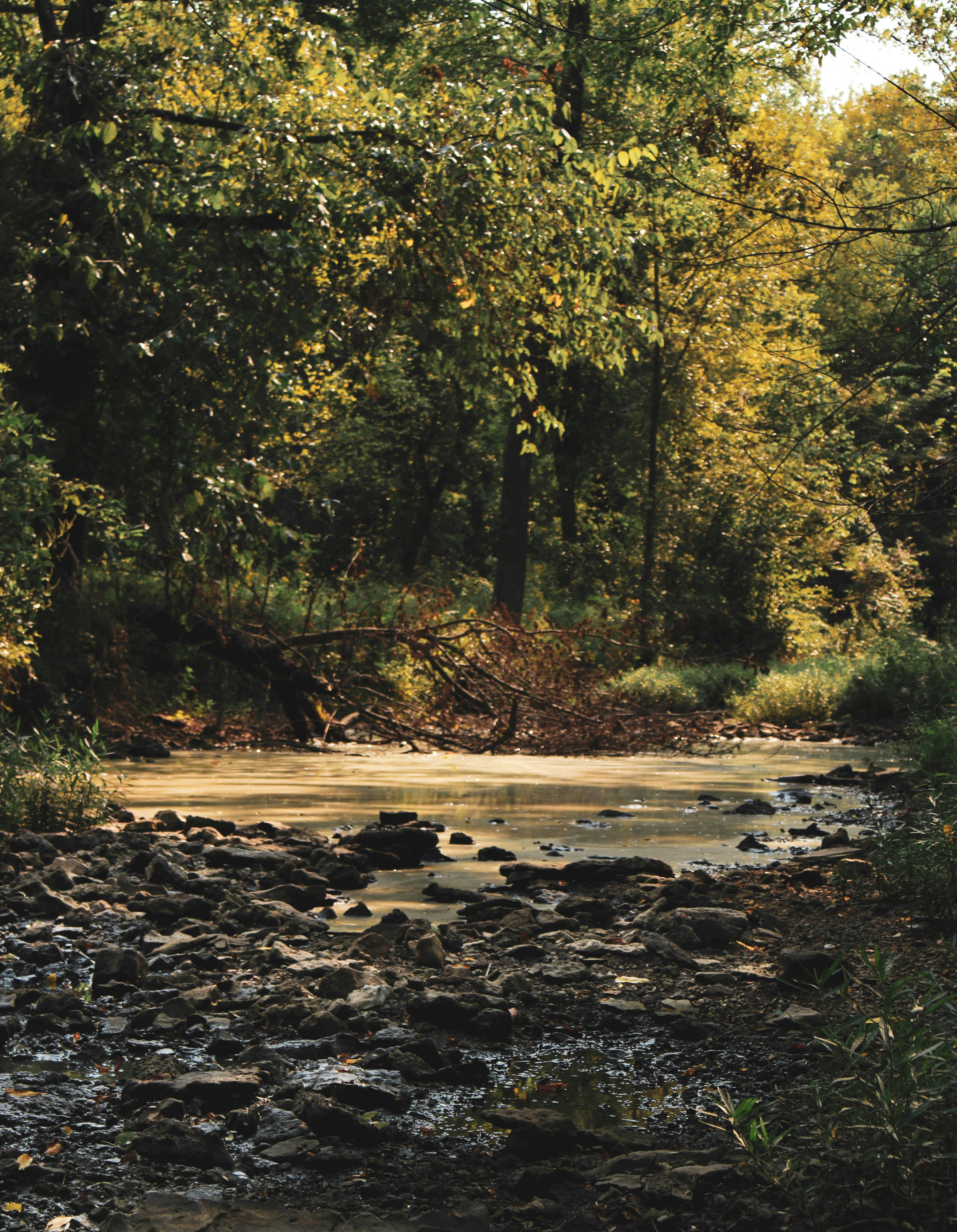 Dead Man's Curve - by Peter Smetanick - Peter's Scribbles