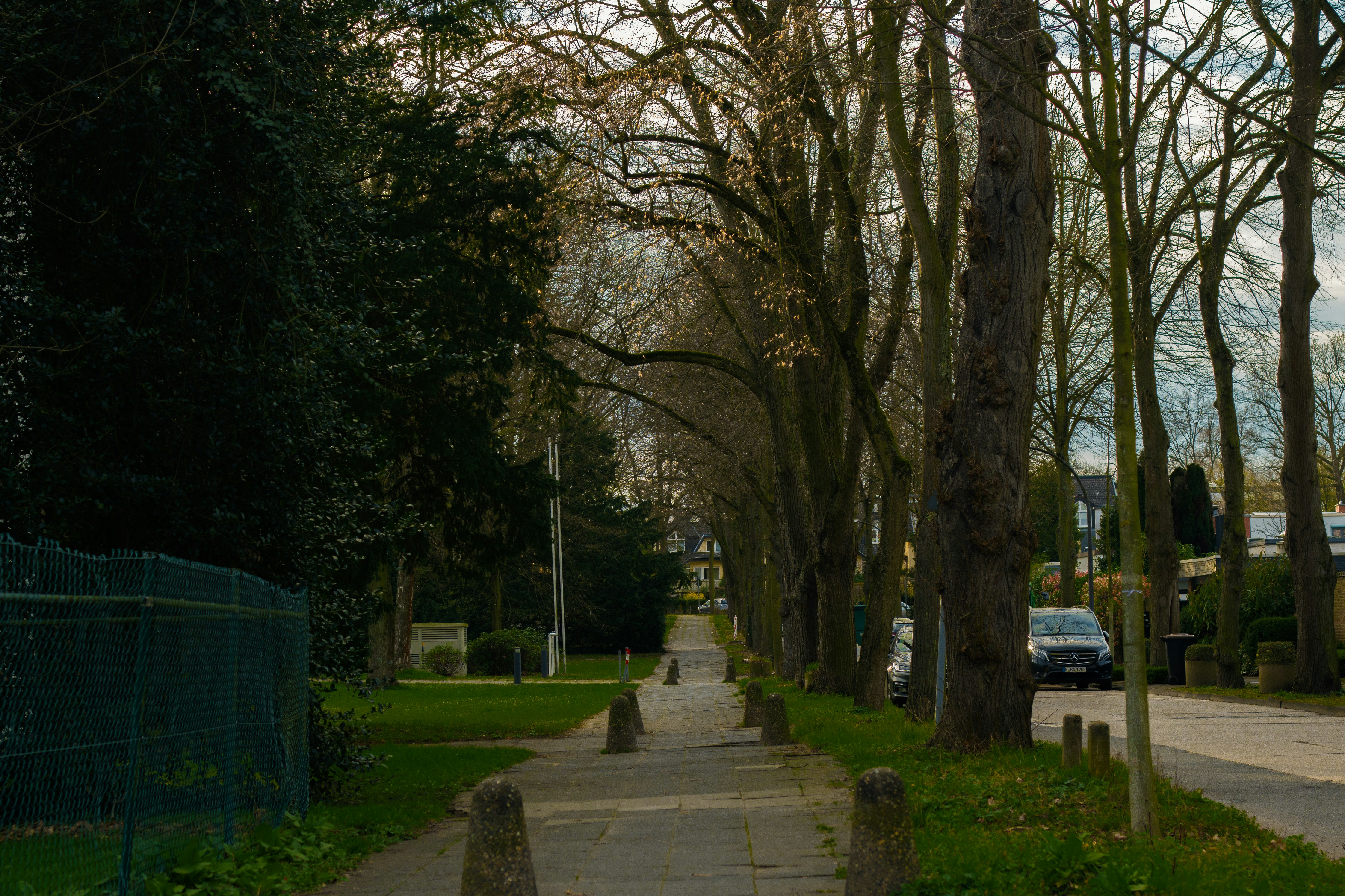 A tree lined sidewalk in a residential area photo – Free Germany Image ...