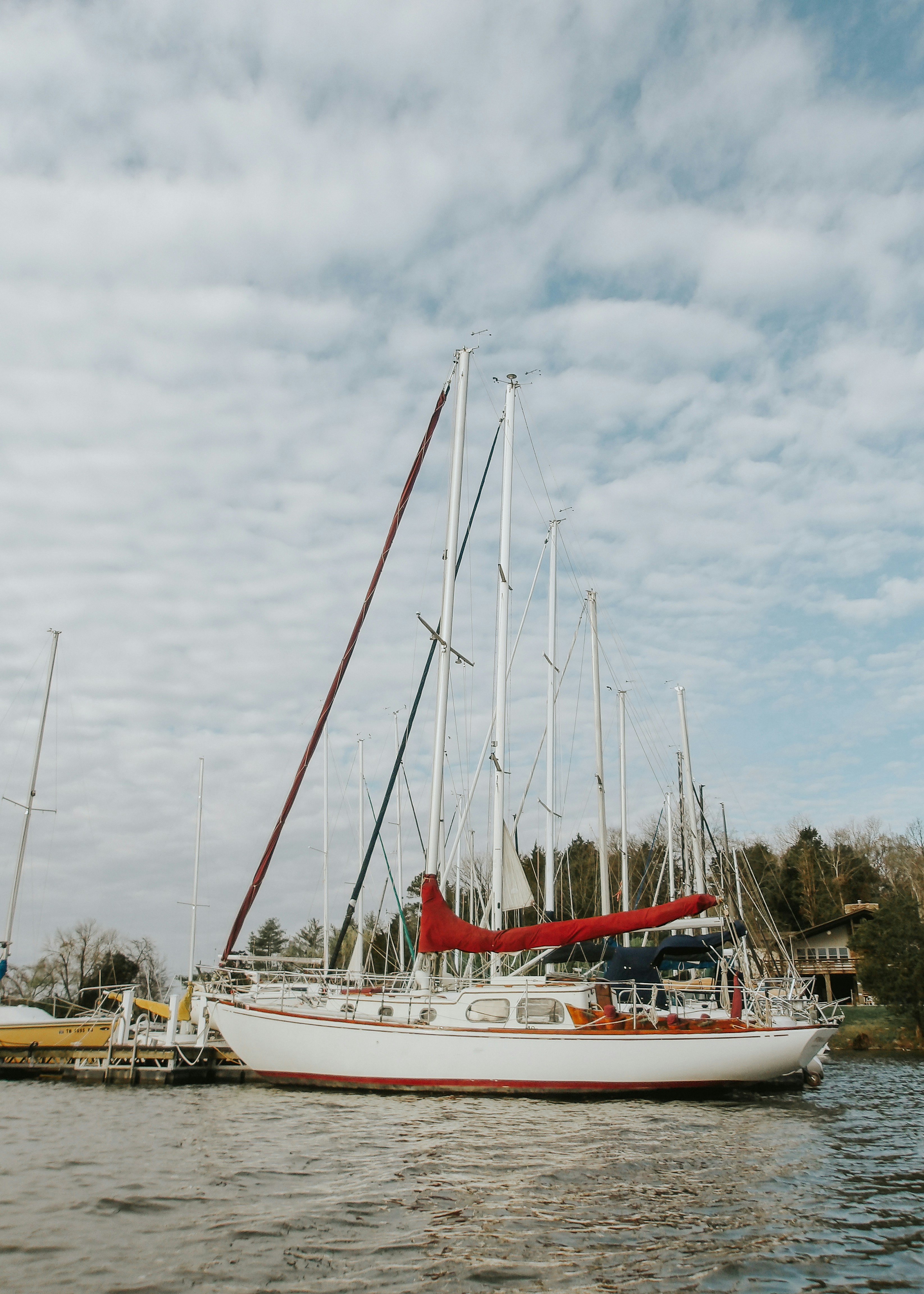 Photo by Barbara Burgess with Kodak PIXPRO WPZ2