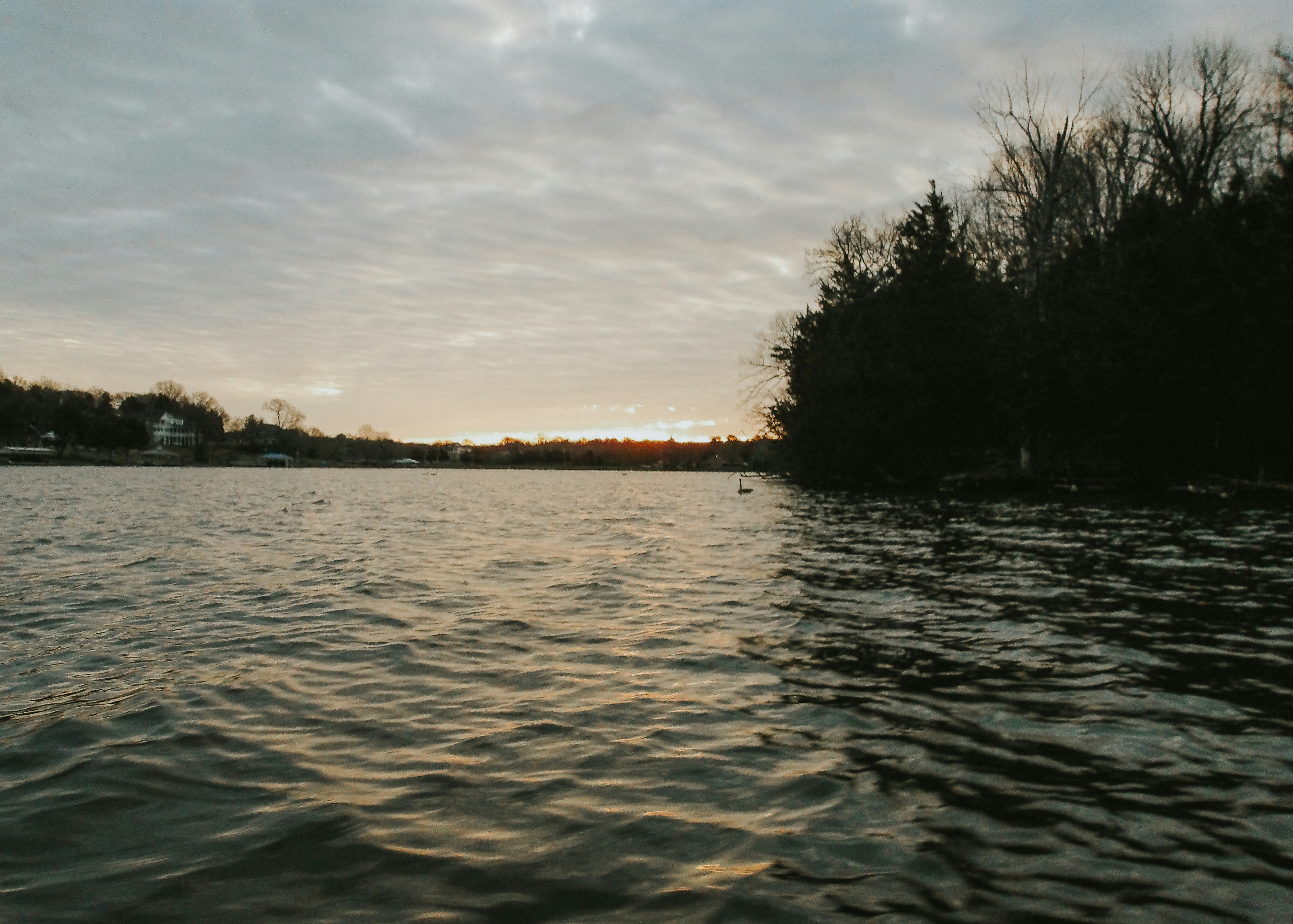a body of water with trees in the background