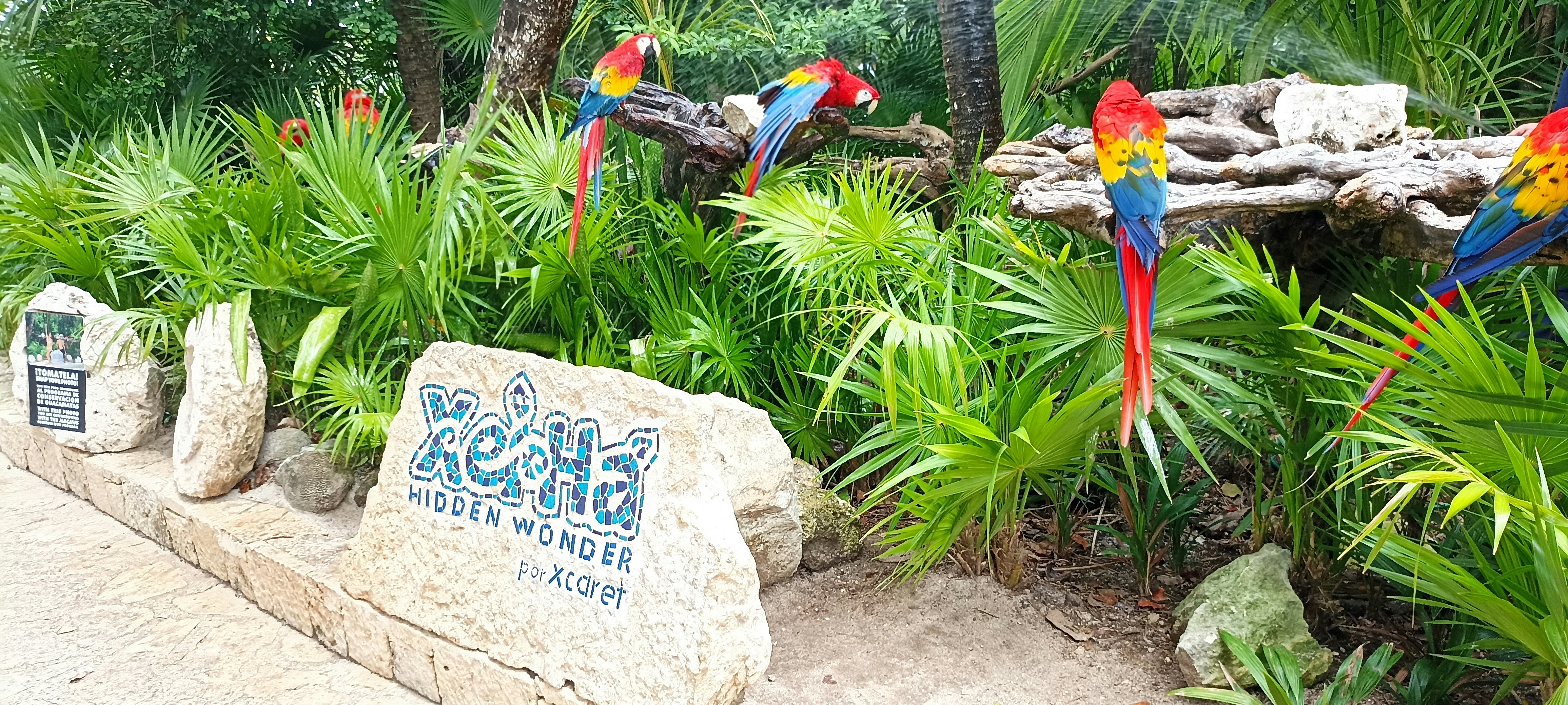Colorful parrots perched among tropical plants beside stone signage.