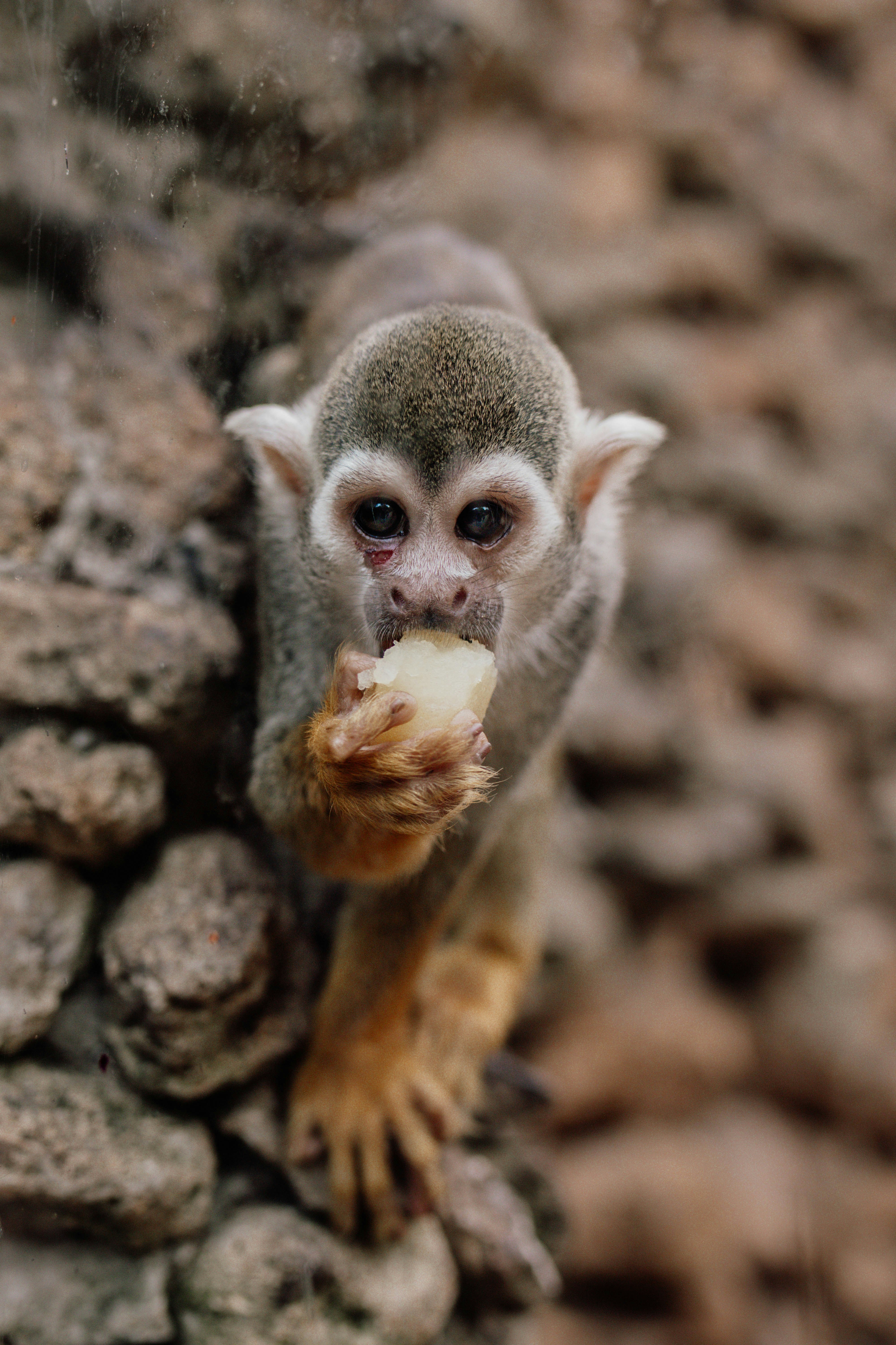 Photo by mari marquez with Canon EOS 250D