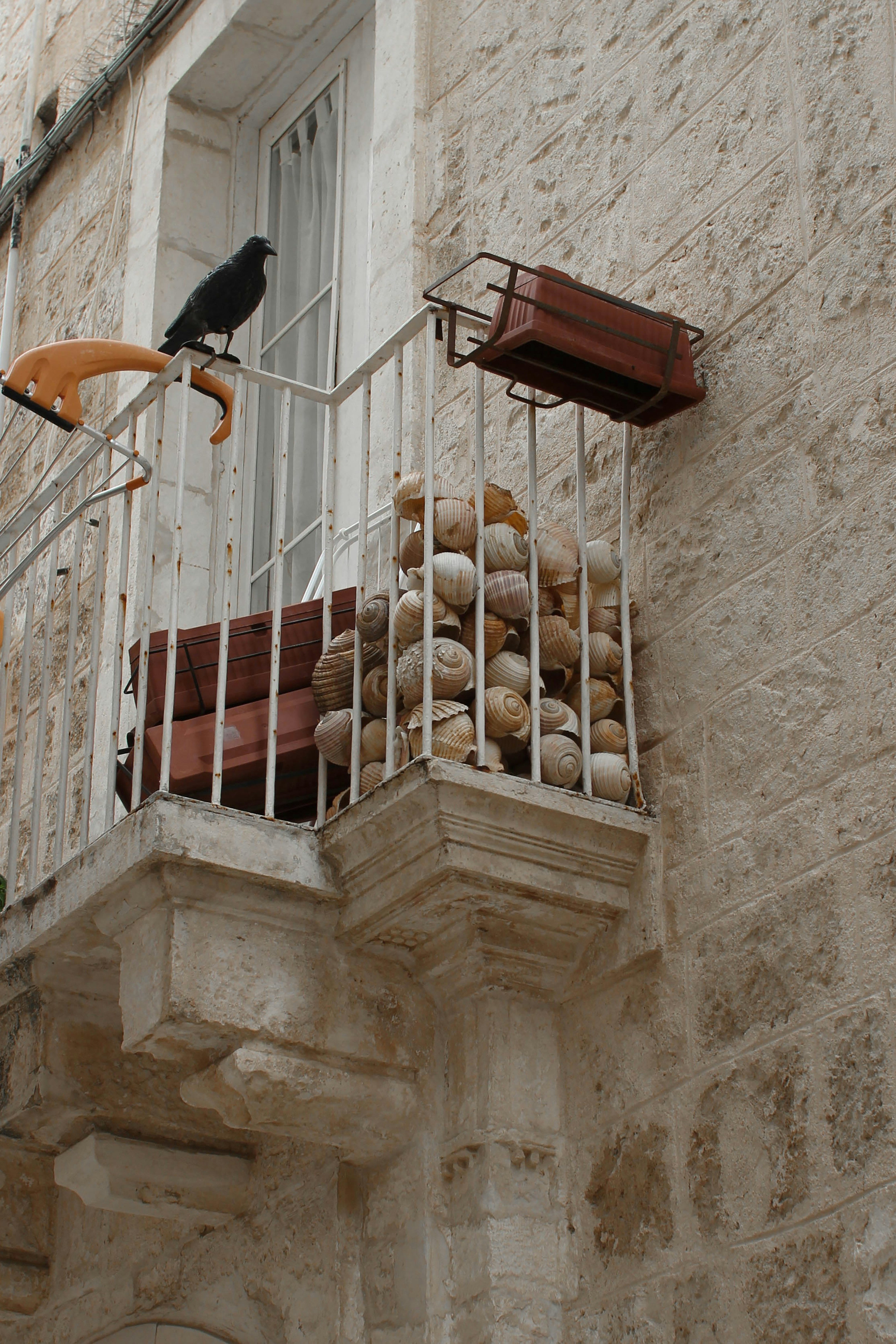 Balcony Sentinel: A Crow, Balcony Beans, and Stone Facades