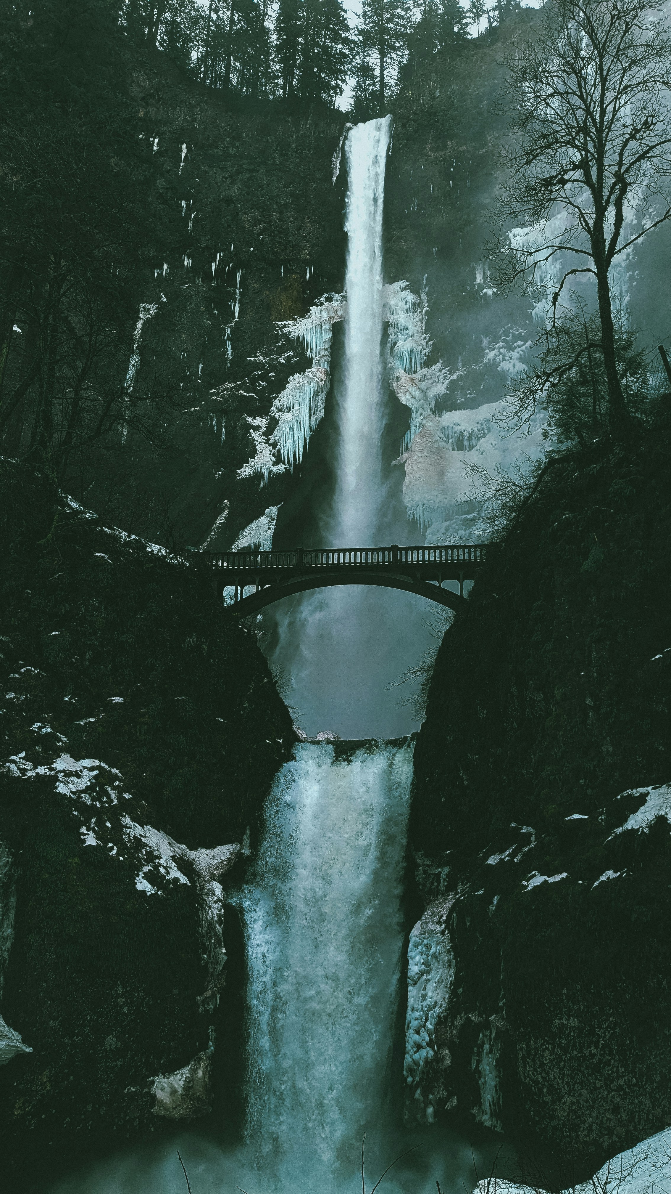 Anna Hopkins (@annaleighhopkins) | Komunitas Foto Unsplash