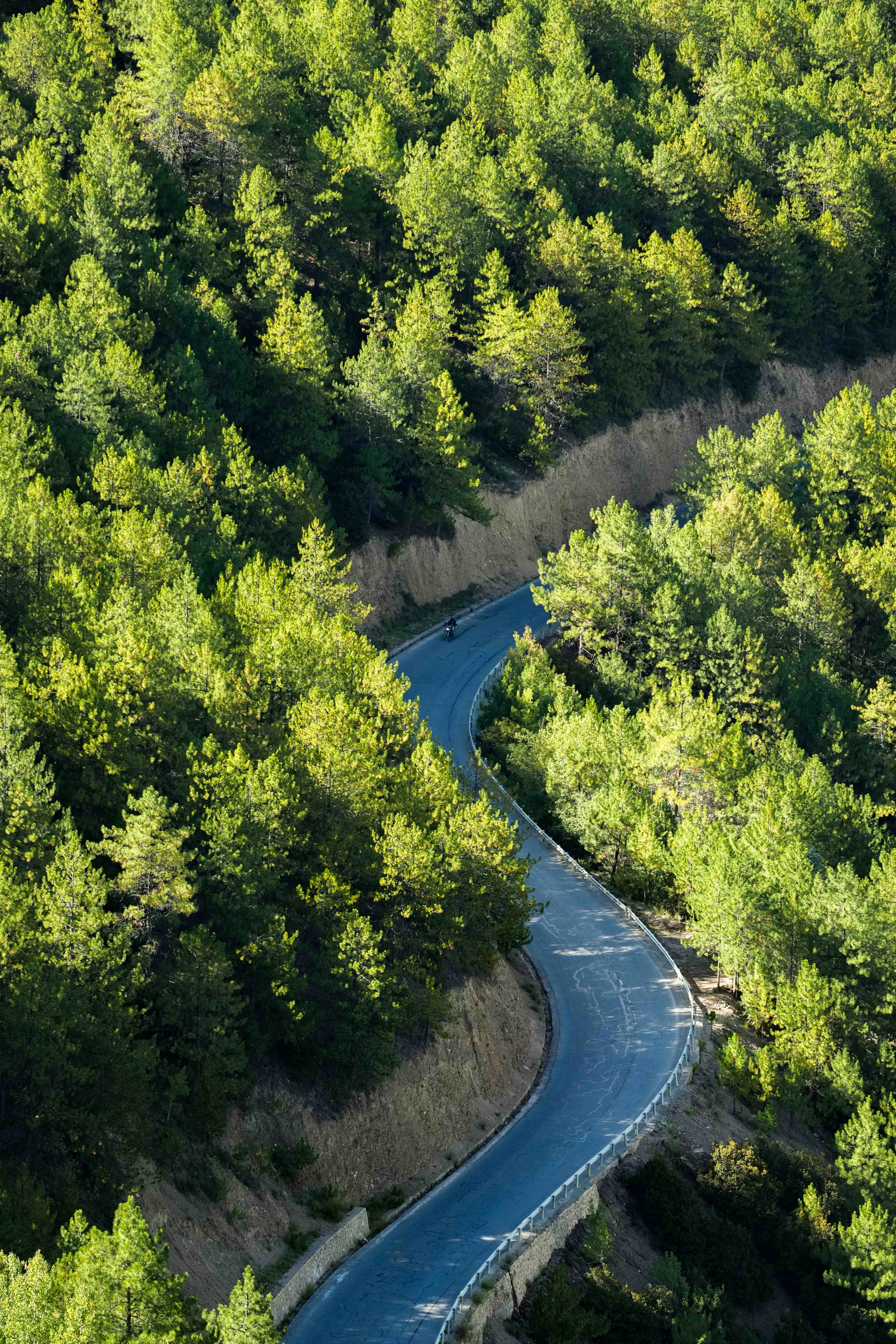 Une route sinueuse au milieu d’une forêt photo – Photo Lin Zhi Shi ...