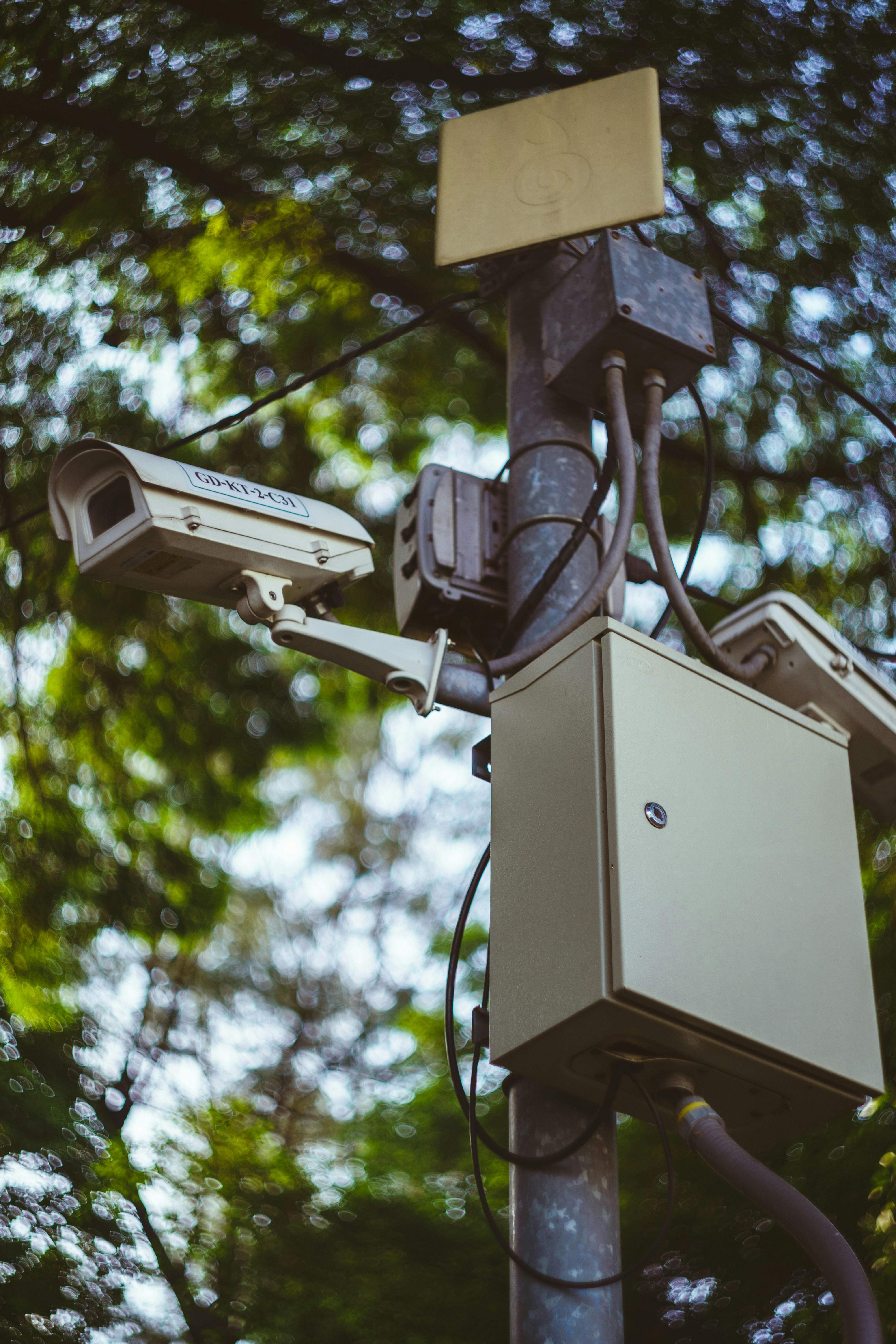 Una cámara atada a un poste con árboles al fondo foto – Imagen de ...