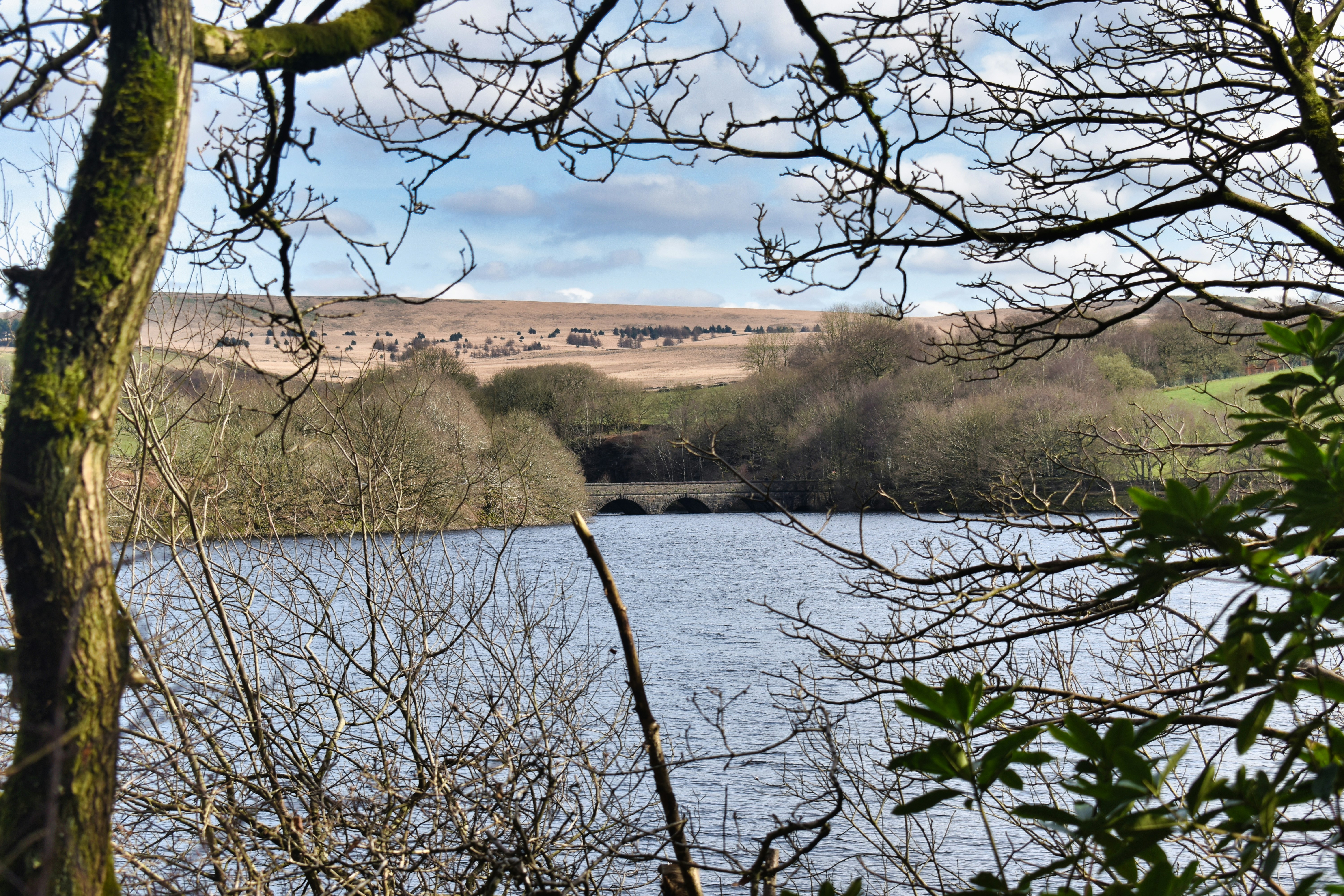 A view of a river with a bridge in the distance photo – Free Yarrow ...