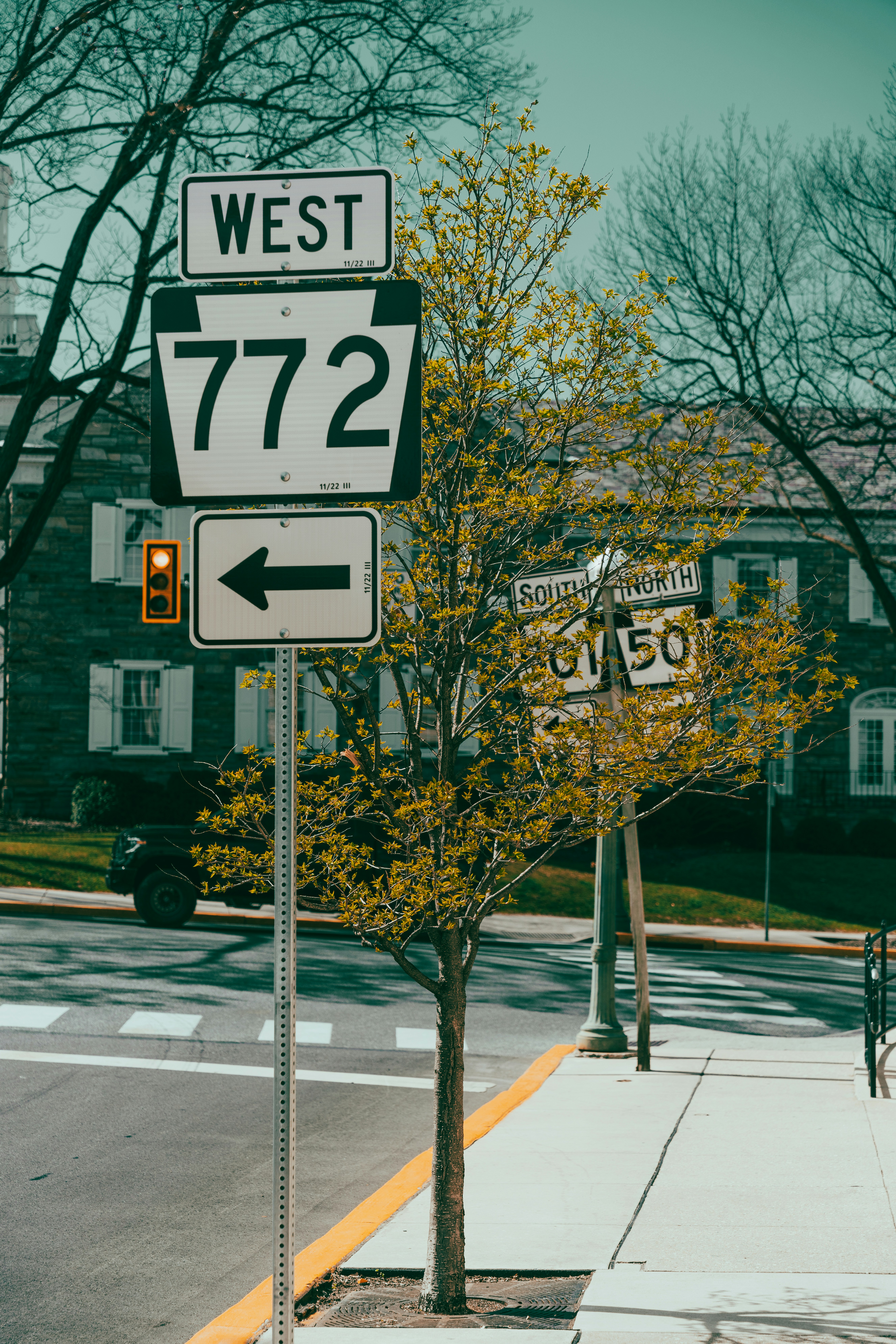 Left-Turn Ledger: Route 772 Signage in a Quiet Suburban Street