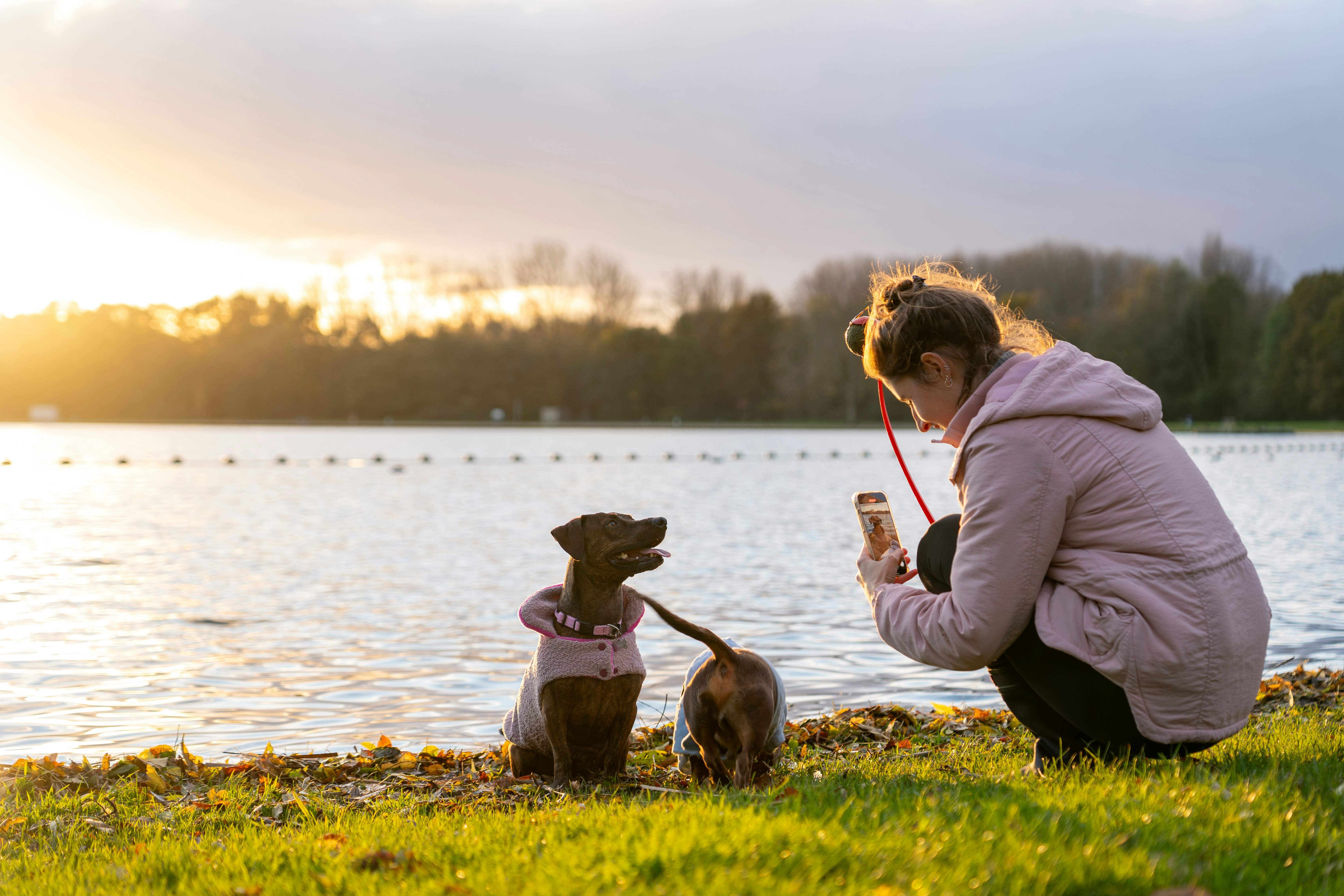 a woman kneeling down next to a brown dog