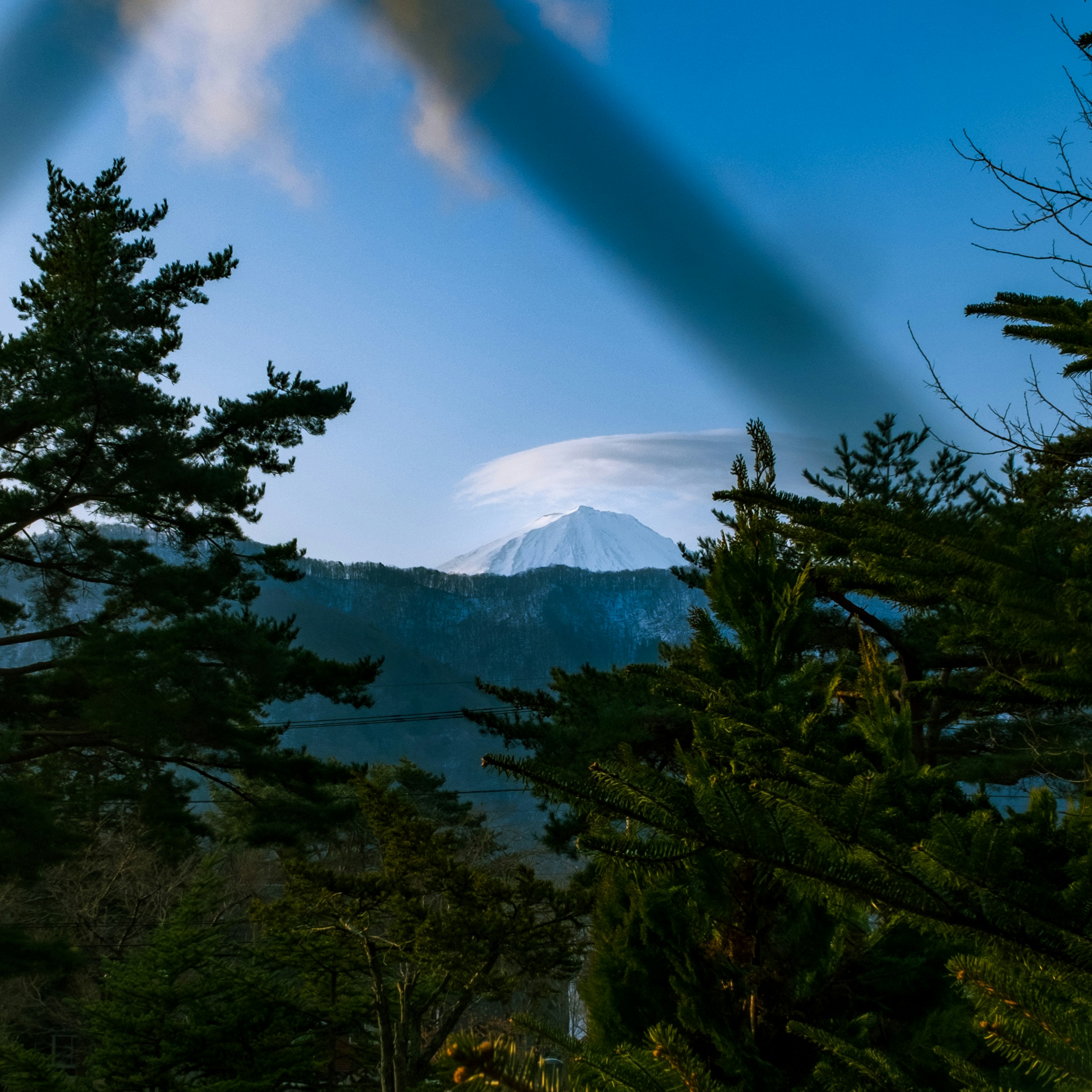 A view of a mountain through some trees photo – Free Mt fuji Image on ...
