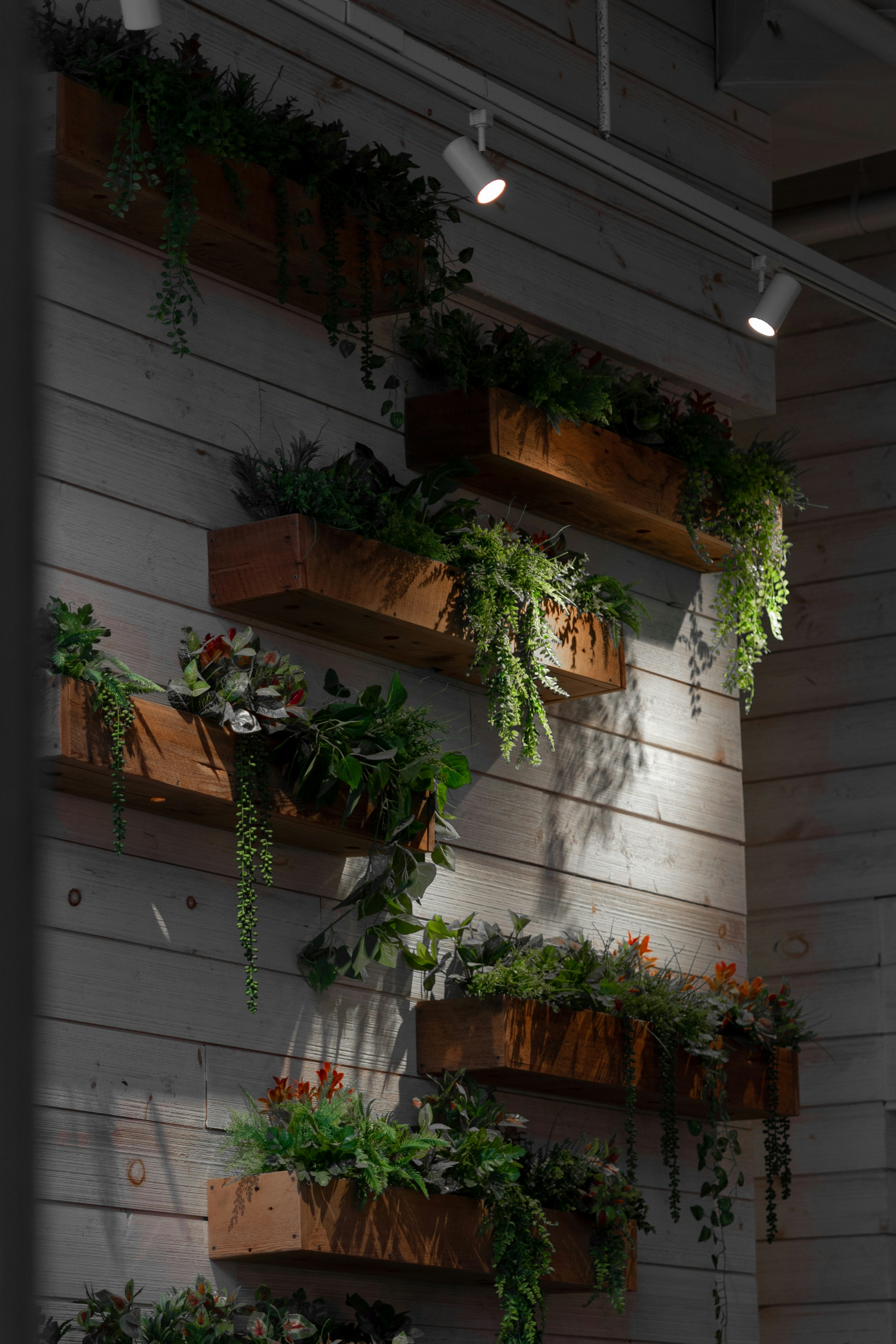 Cascading Greens on a Weathered Wall: A Wood-Walled Botanical Gallery