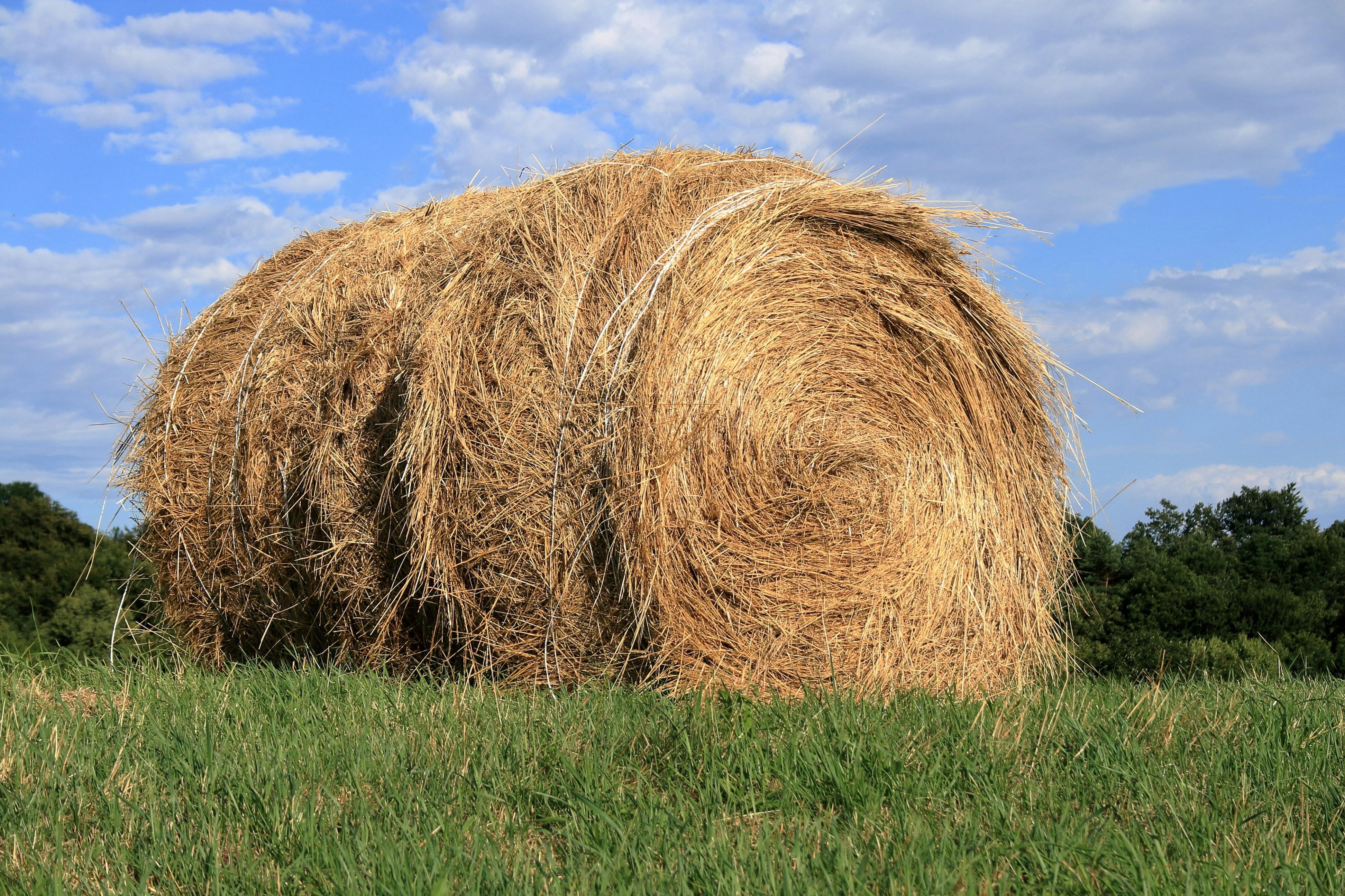 A bale of hay sitting on top of a lush green field photo – Free Nature ...