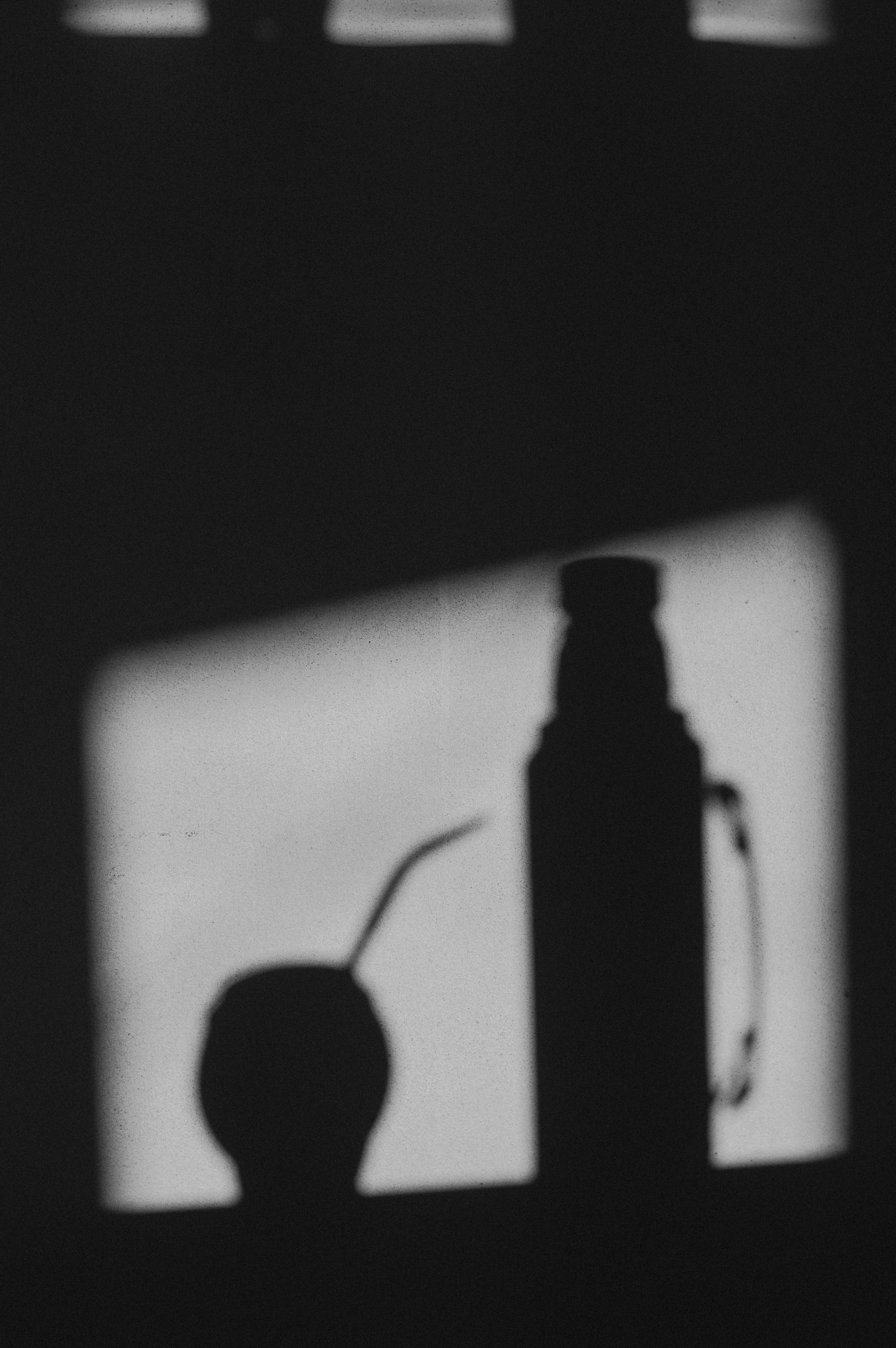 Windowed Shadows: Bottle and Glass Silhouette in Mono