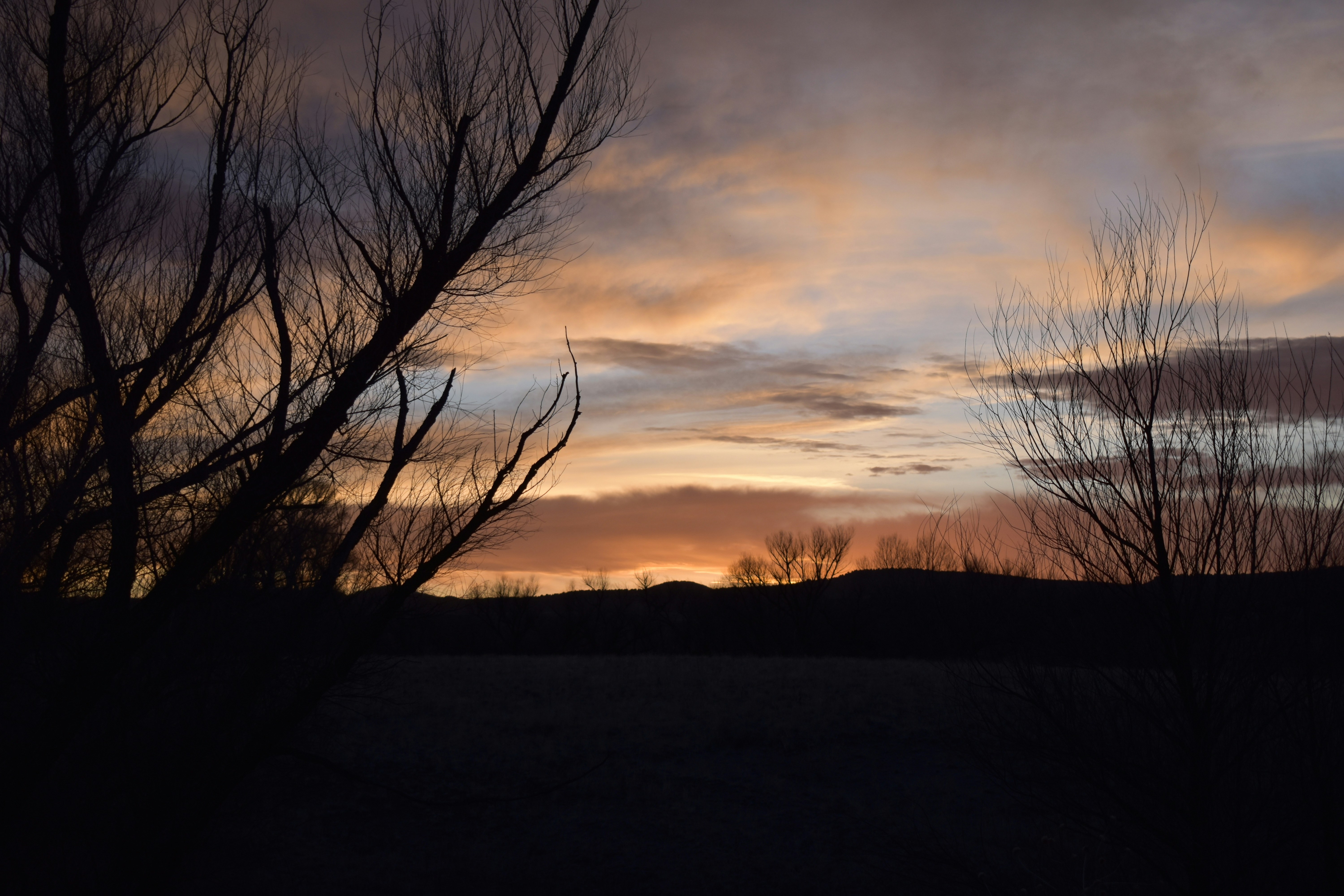 New Mexico Sunset Pictures | Download Free Images on Unsplash