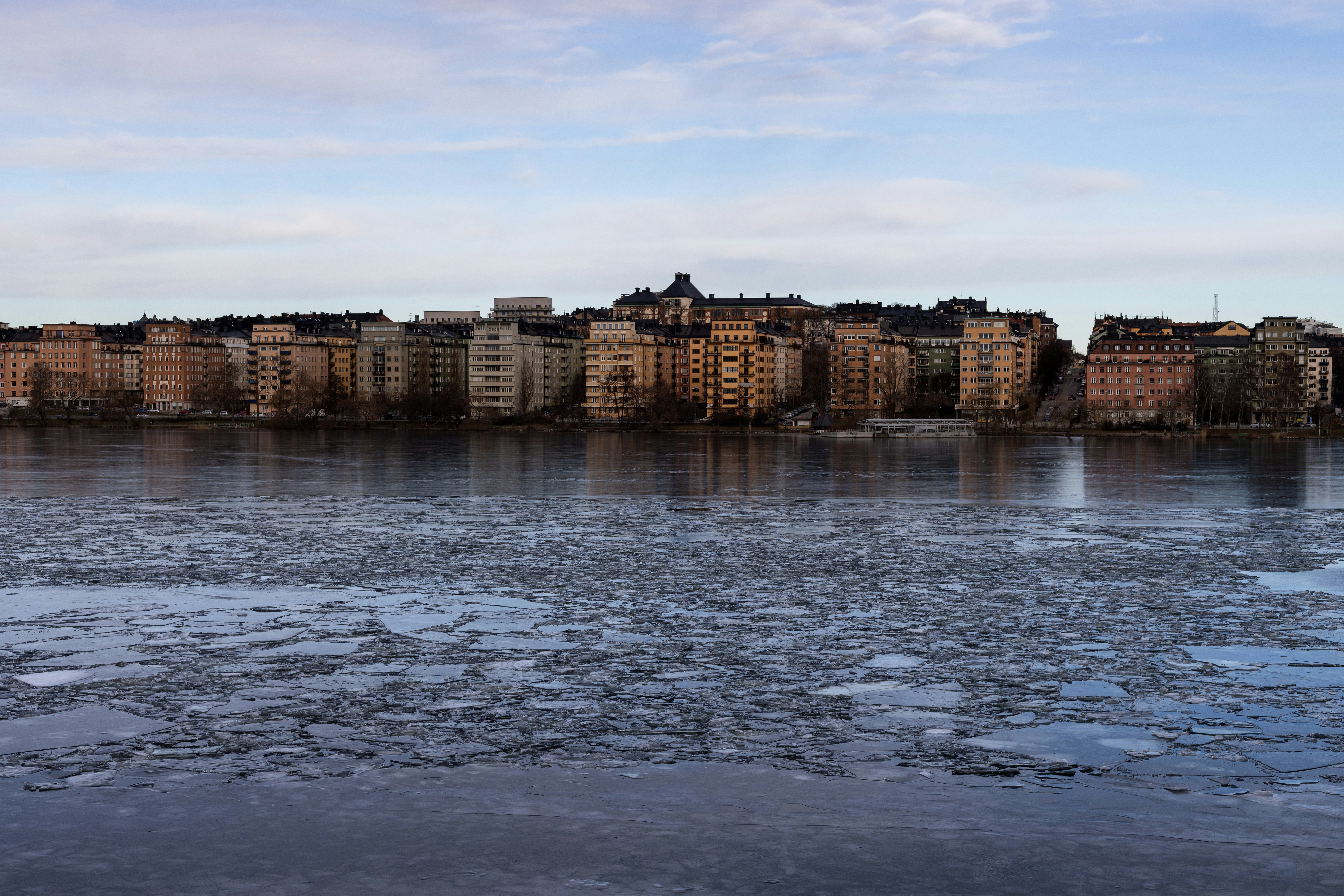 Photo by Simon N with Canon EOS R