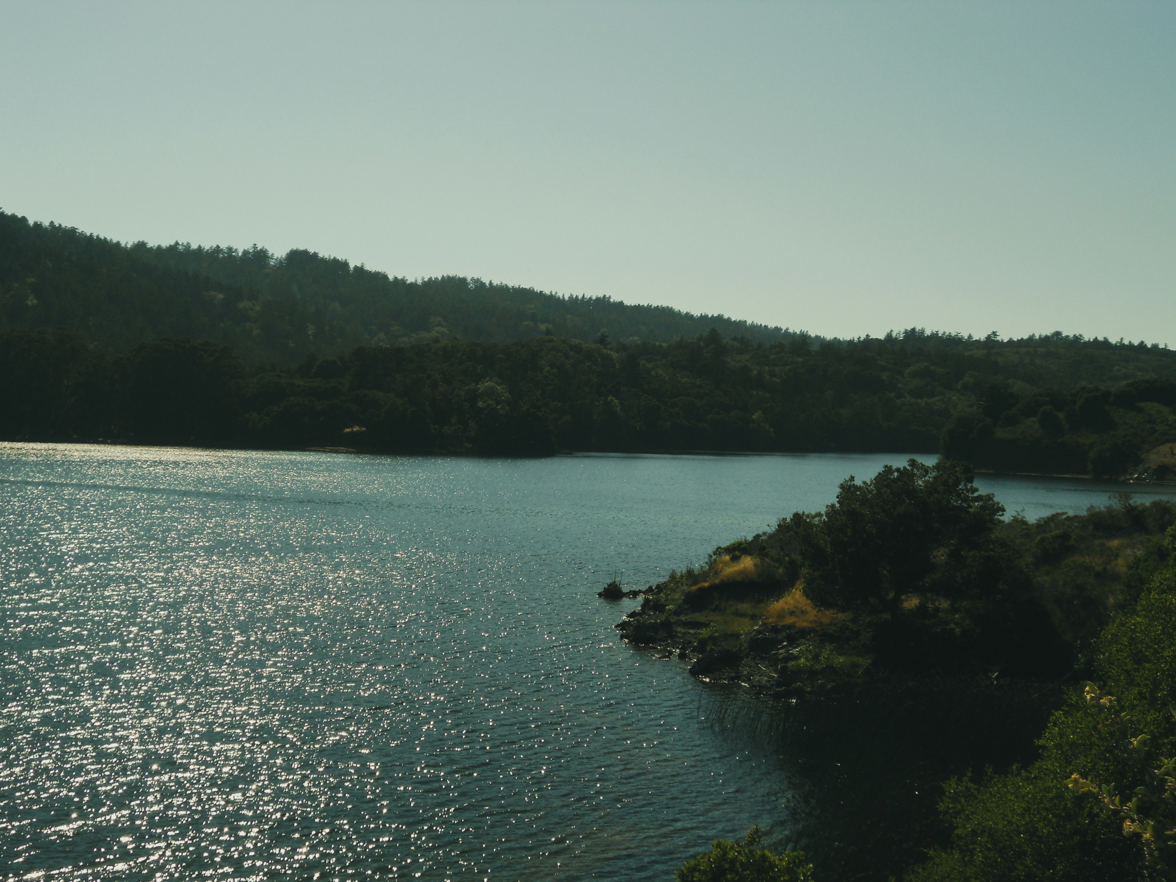 Discover the tranquil beauty of Crystal Springs Reservoir in California. | a large body of water surrounded by trees