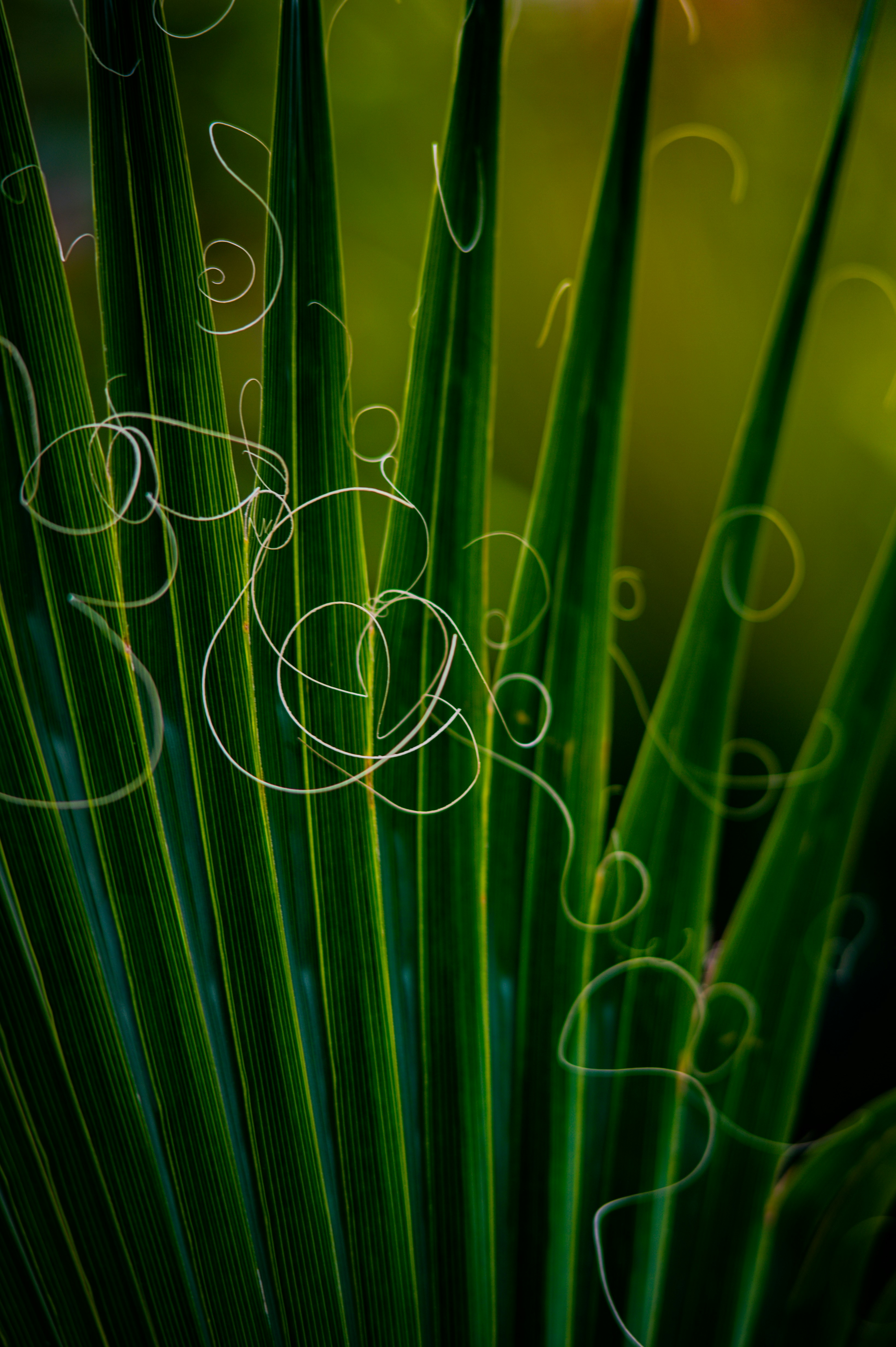 Photo by 5010 with Nikon Df