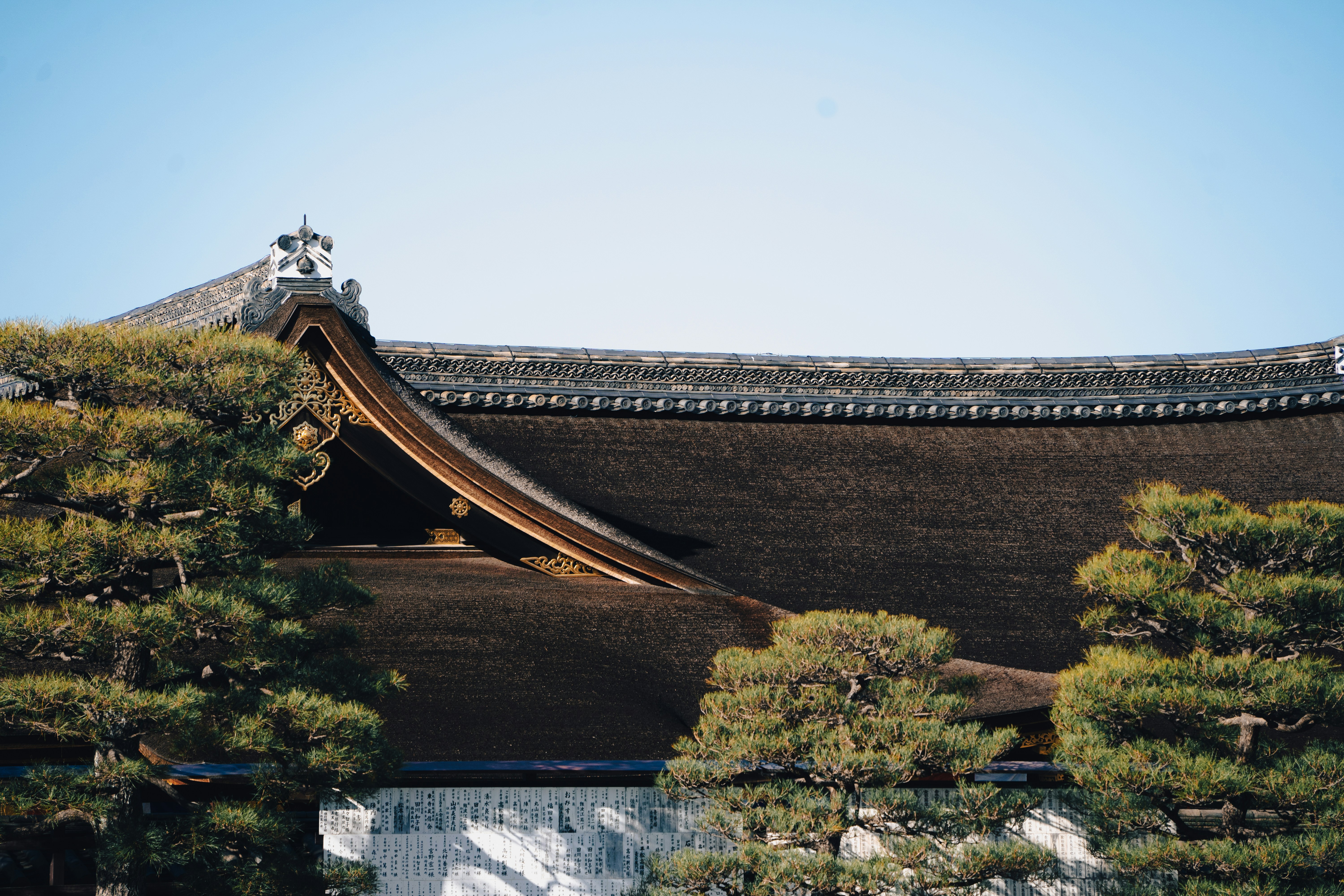 The roof of a building with pine trees in front of it photo – Free ...