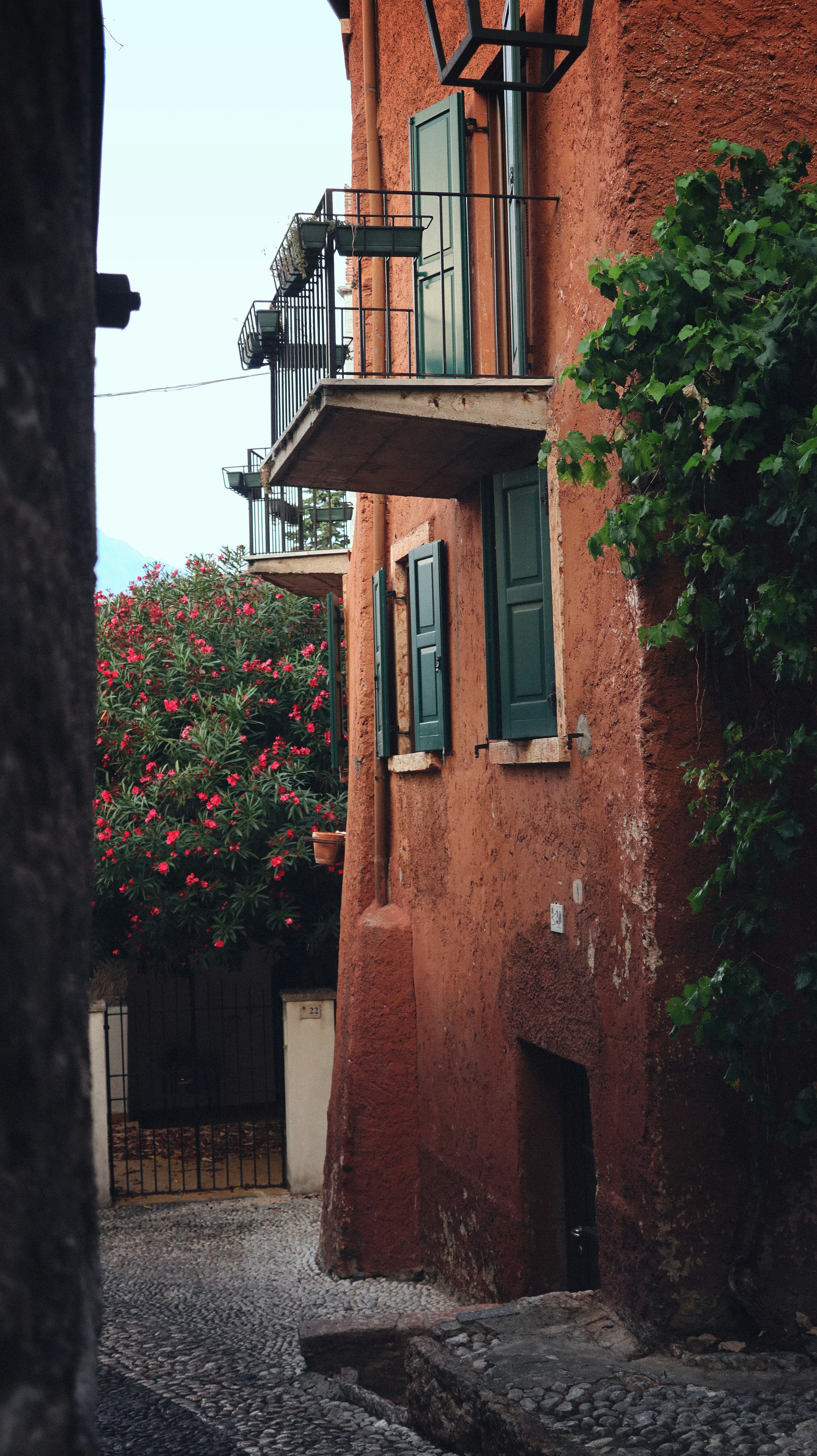 Narrow cobblestone alley beside a sun-washed terracotta building with green shutters and small balconies, framed by flowering shrubs.
