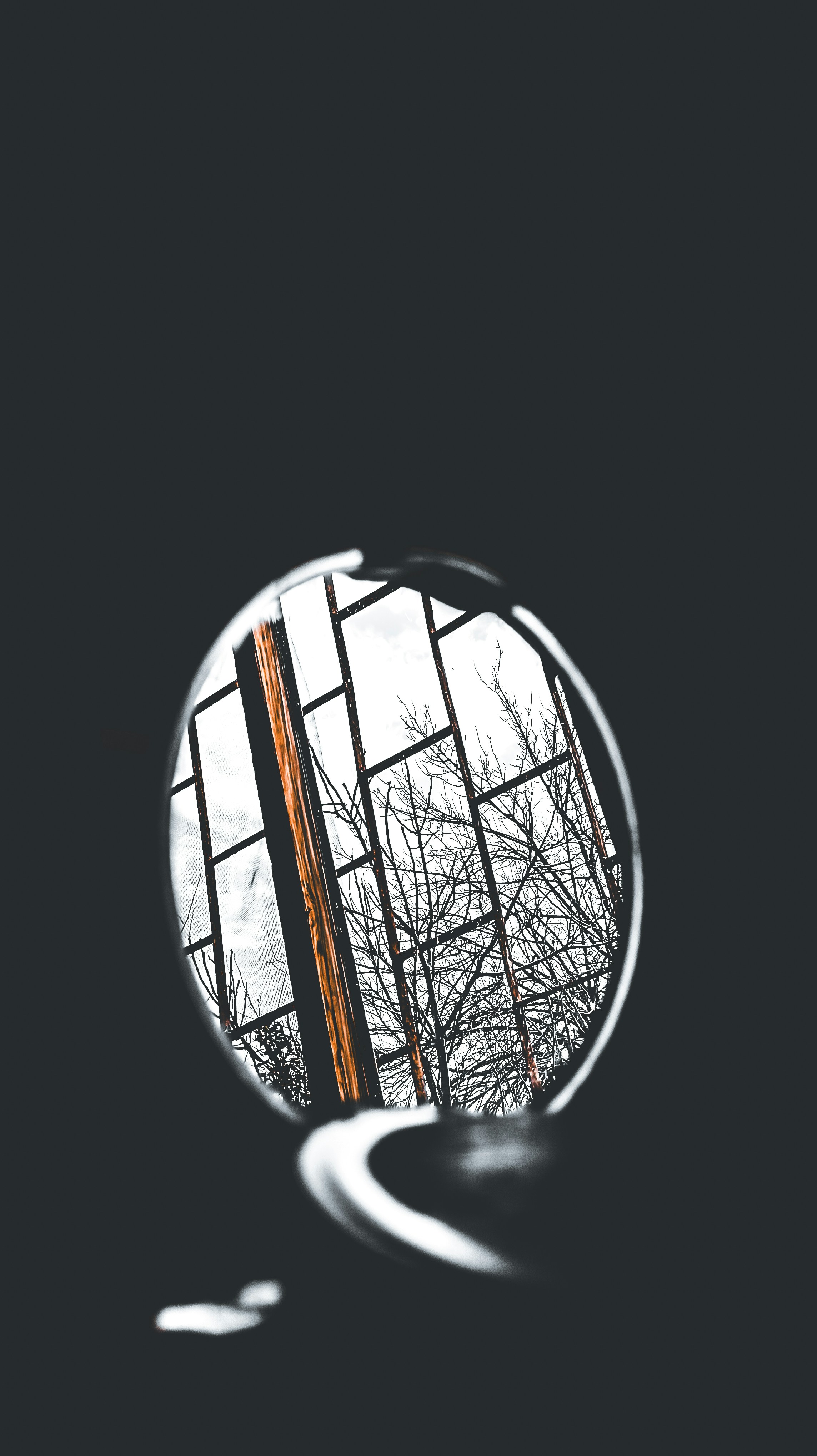 A mirror with a reflection of trees in it photo – Free Reflections ...