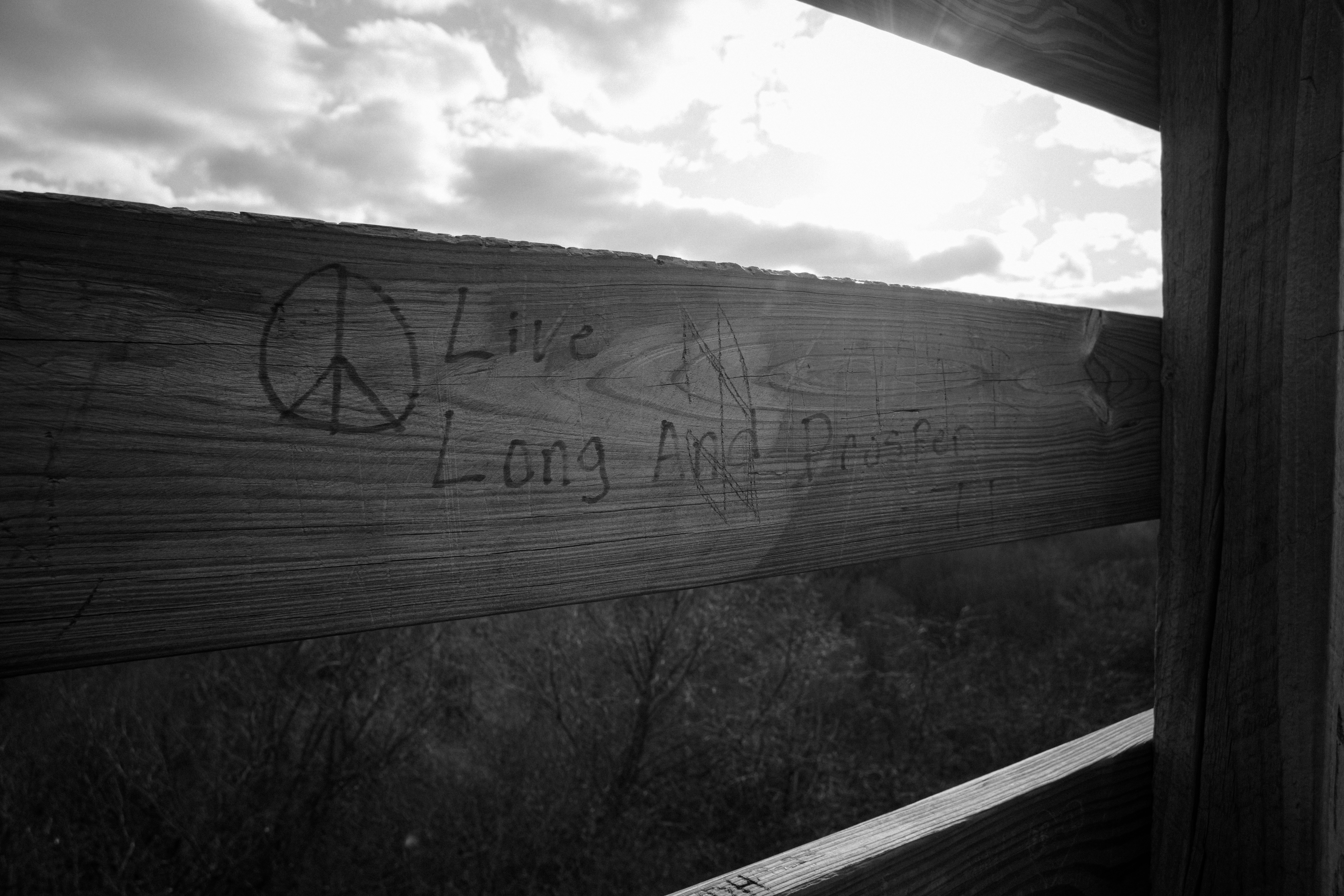 Graffiti Peace on Weathered Rail: Long View from a Wooden Deck