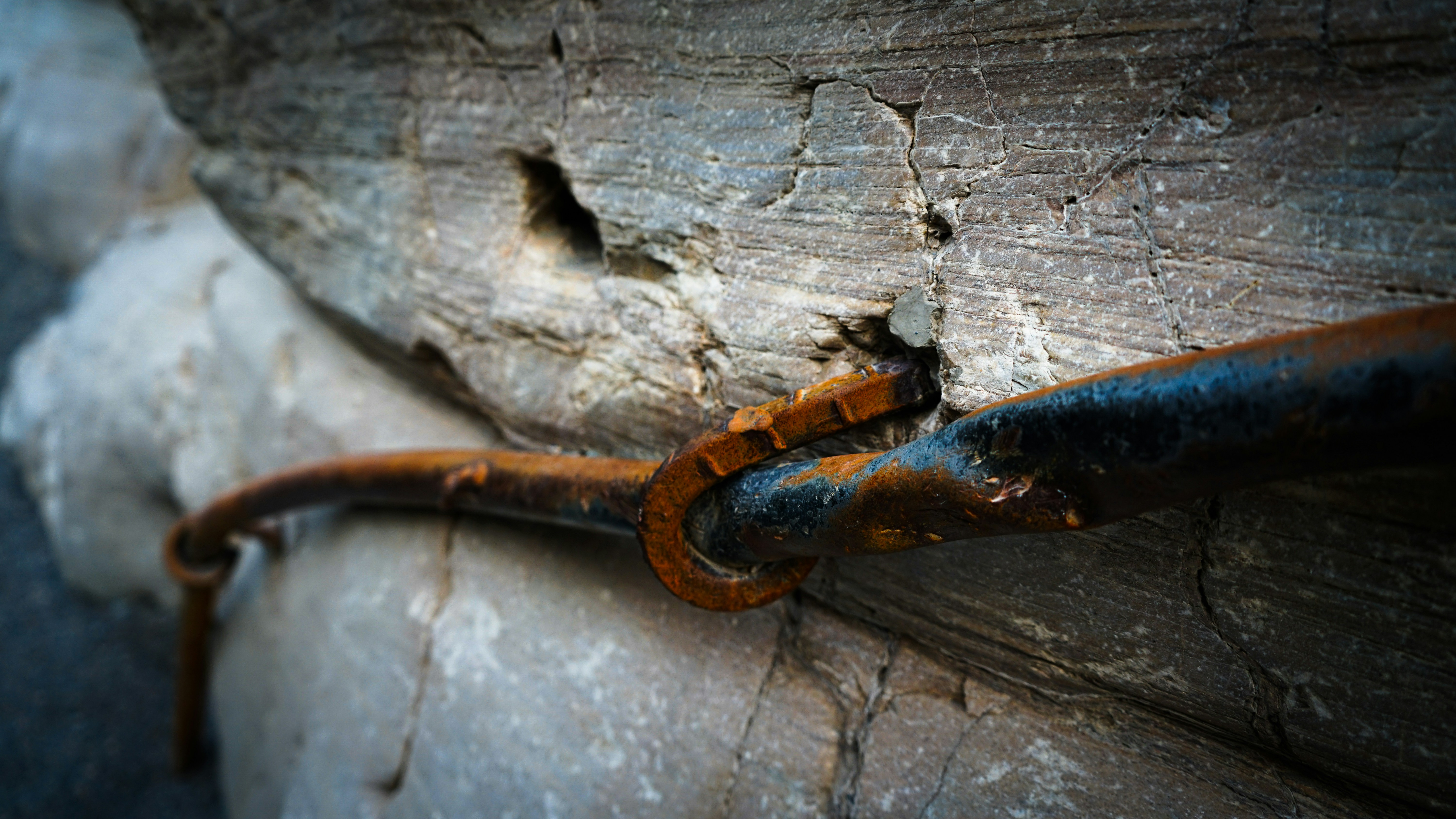 Rusted Ring on Weathered Wood: A Macro Portrait of Time