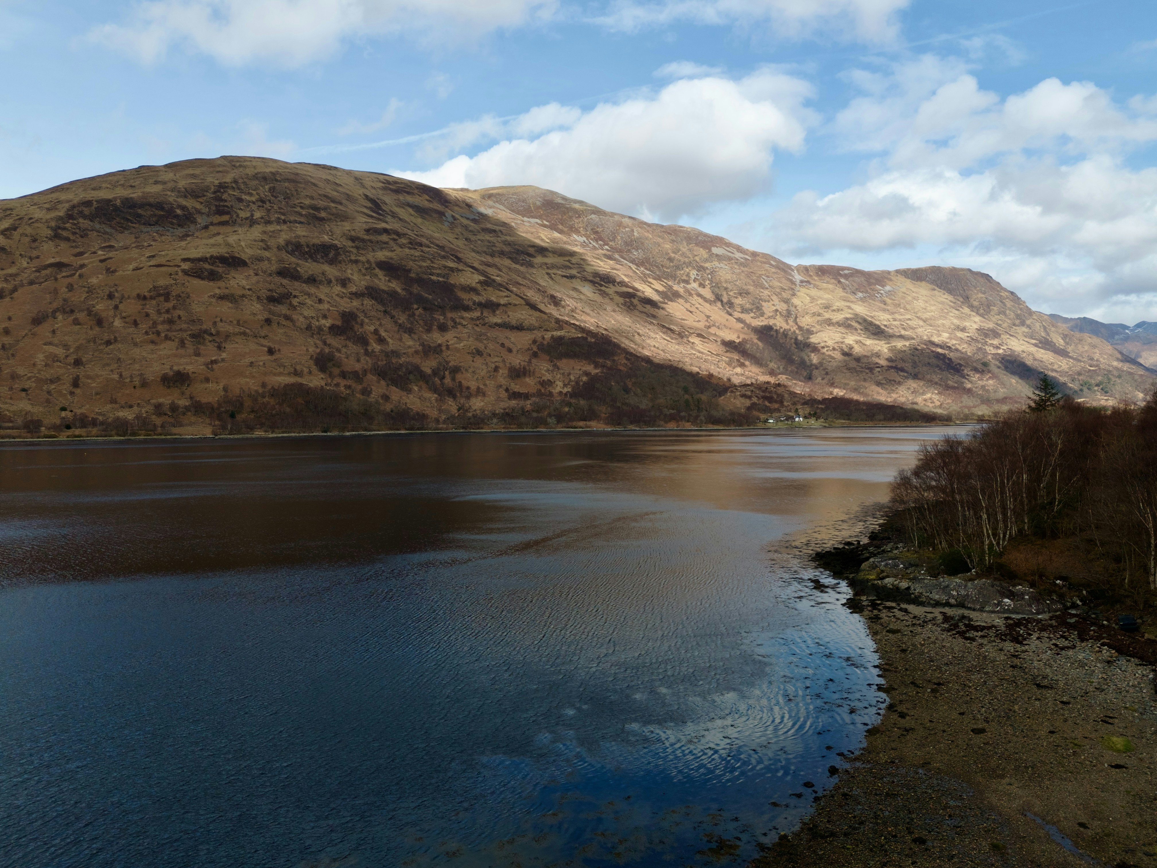 Serene landscape featuring a tranquil loch bordered by rugged hills and a rocky shoreline under a partly cloudy sky.