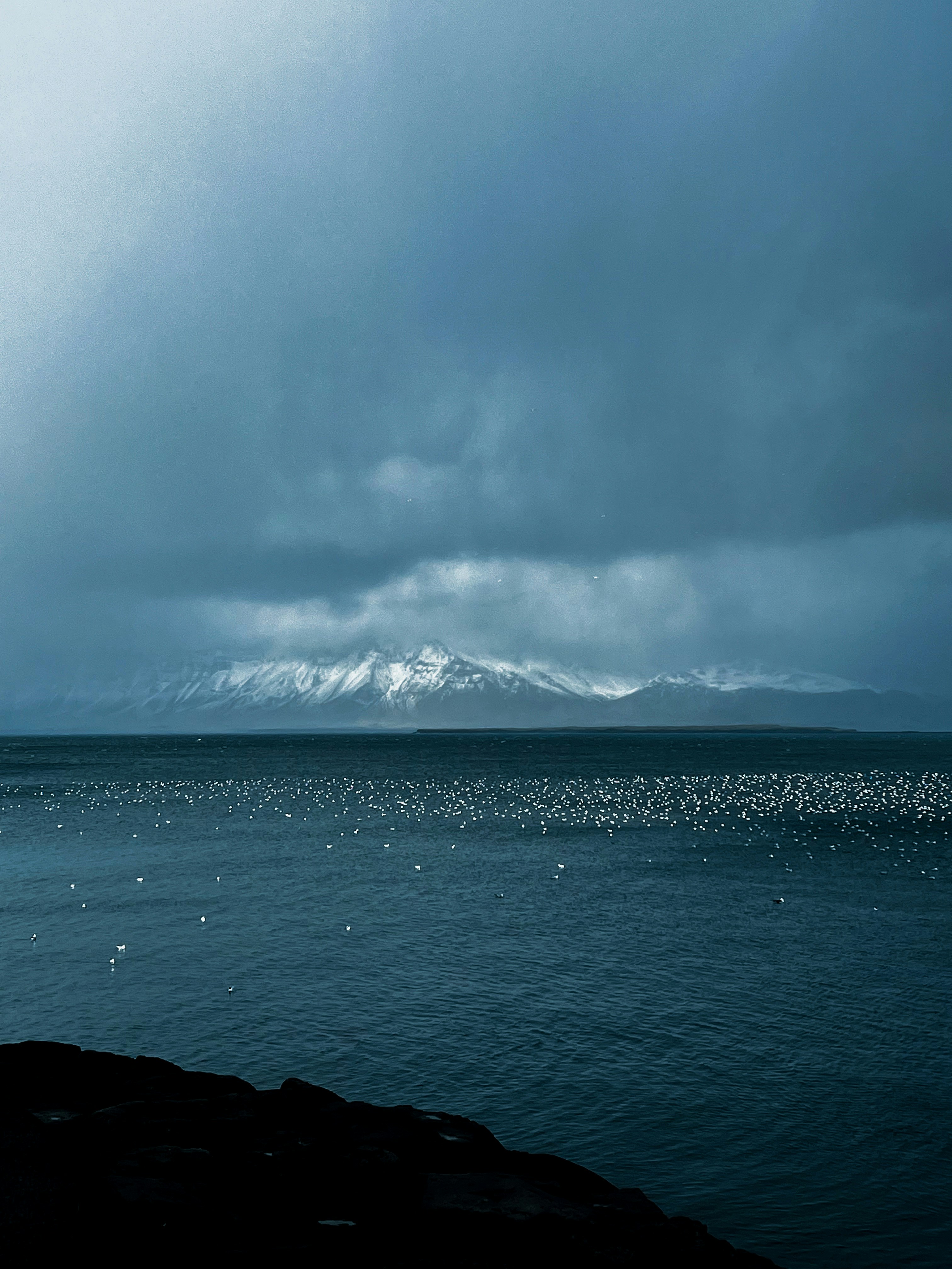 Azure Quiet: Snow-Capped Ridge Emerges Over a Sea of Seabirds