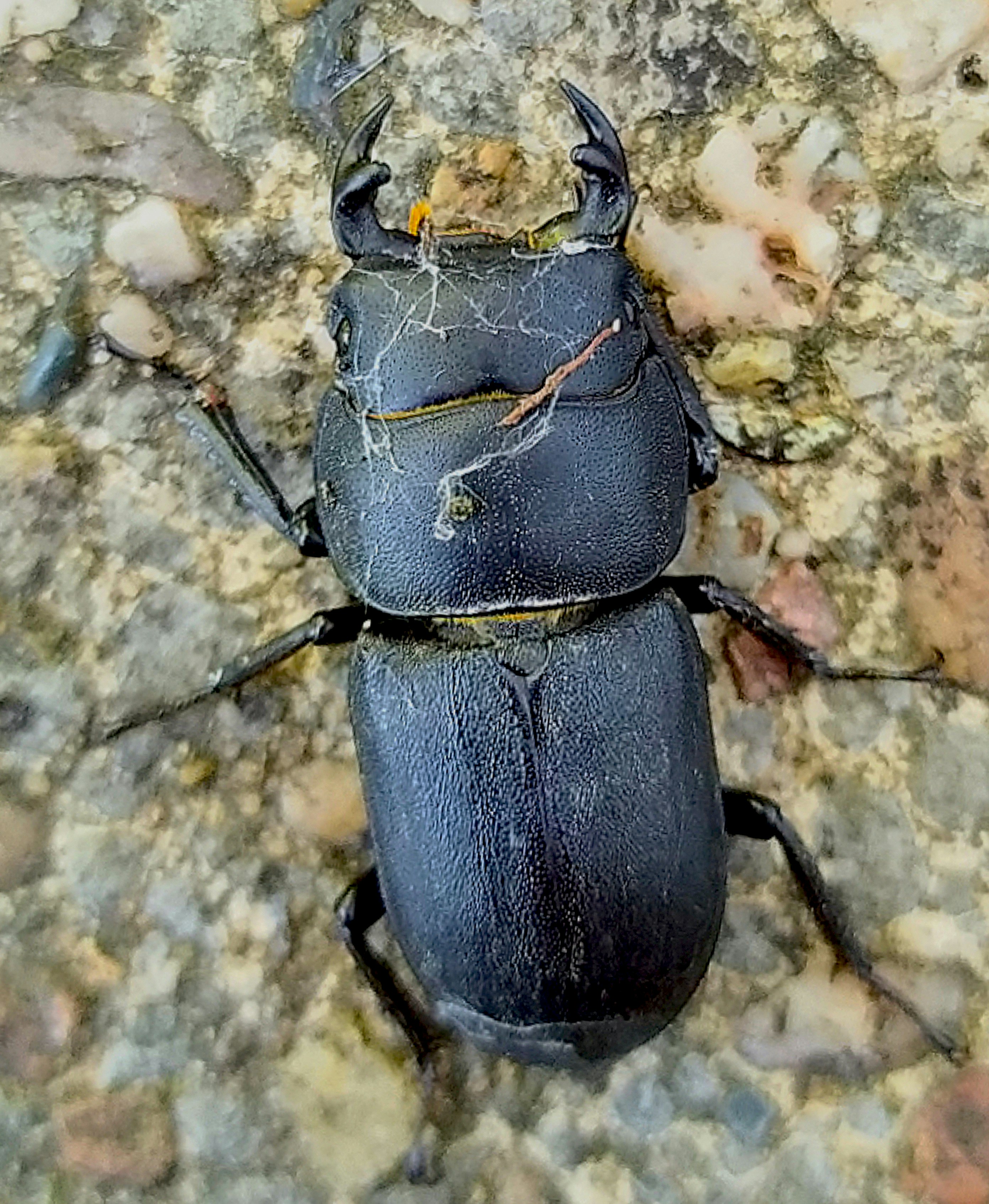 Craig Thomas (@craigthomas) | Communauté photos Unsplash