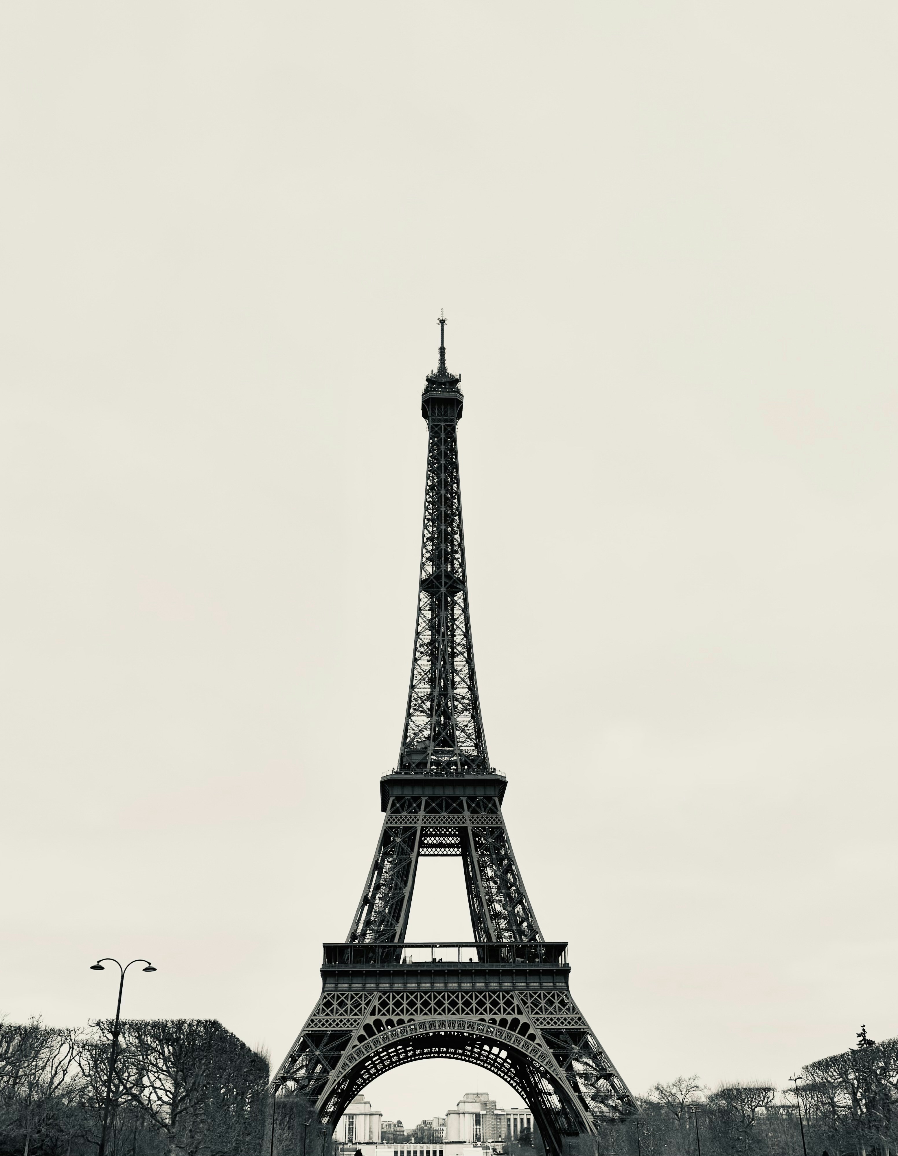 Lattice Majesty: Eiffel Tower Rises Through a Pale Sky