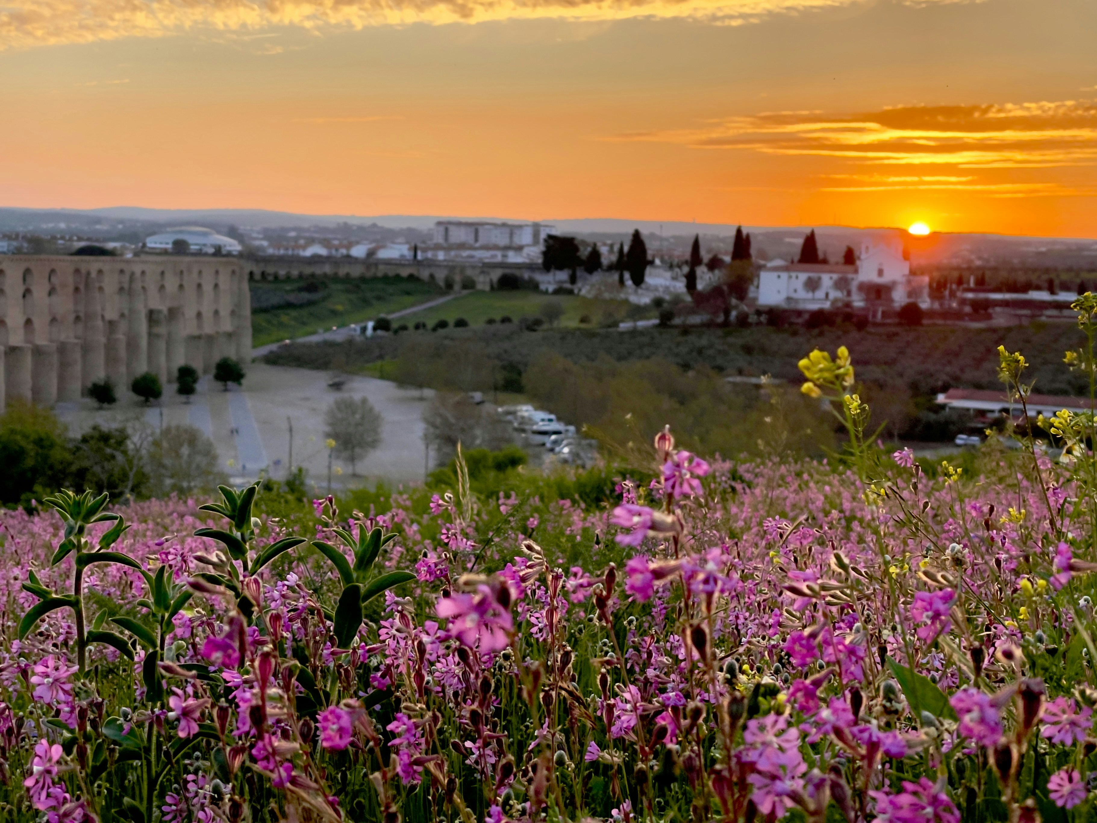 Wildflowers in vibrant hues blanket the foreground as the sun sets behind an ancient aqueduct in Elvas.