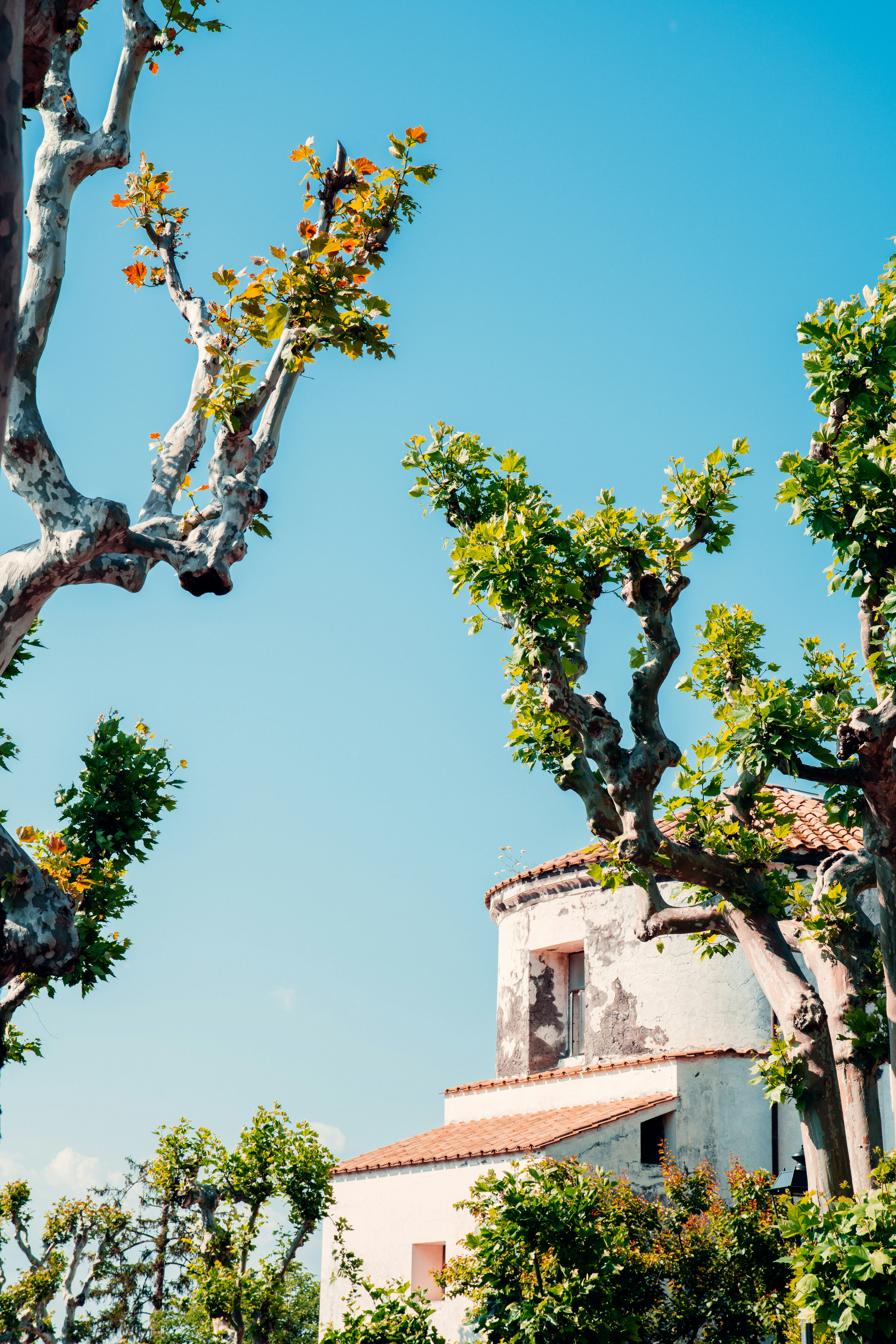 Azure Sky Over a Weathered Stucco Tower with a Red Tile Roof