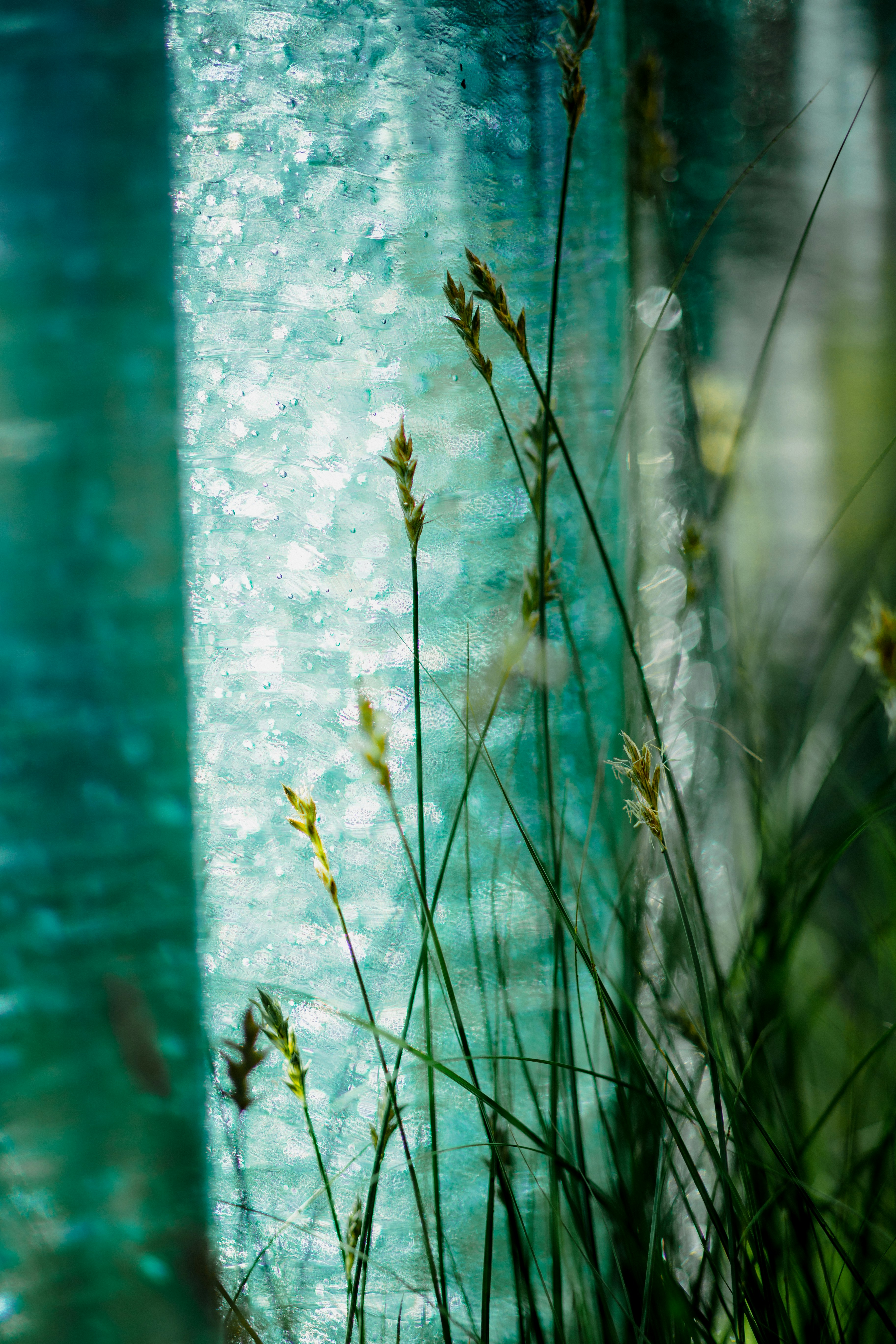 Teal Pillar, Whispering Grasses: a Quiet Study in Texture and Light
