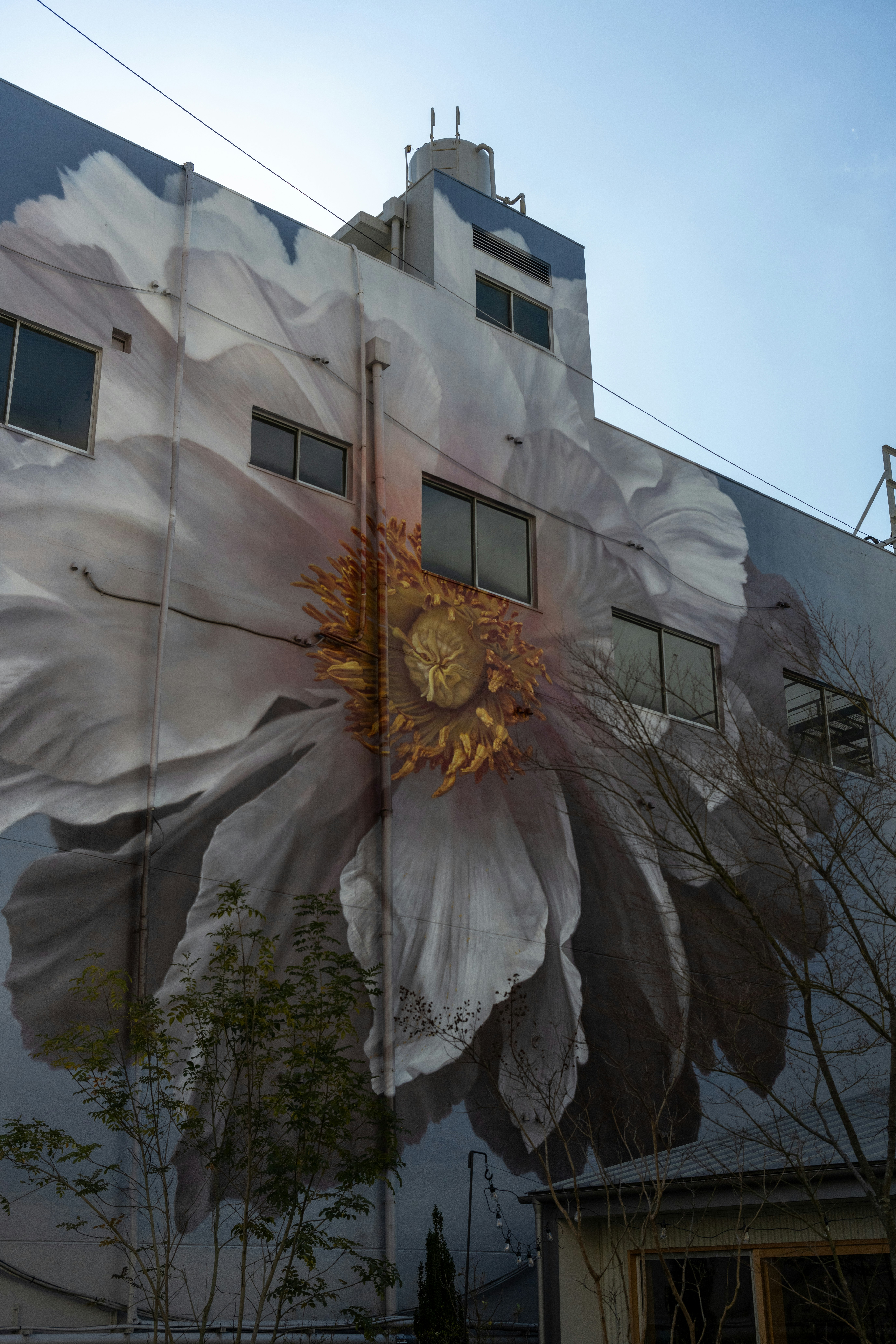 Photo by Kouji Tsuru with Nikon Z7 II